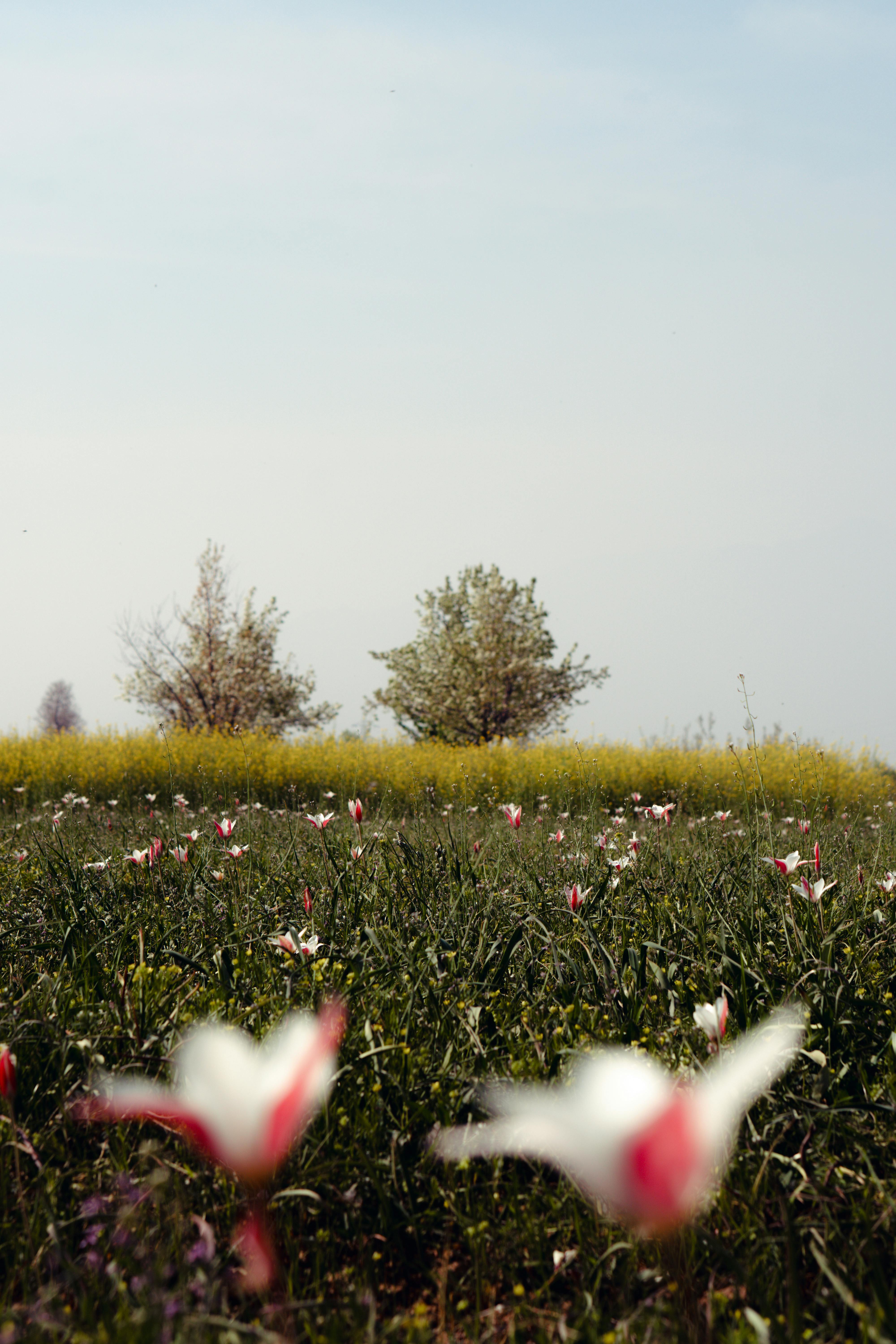 Annth1&Refig=E3d56a721c2b46899aa78f8c3c029f47&Pc=U531&Pqlth=0&Assgl=10 ...