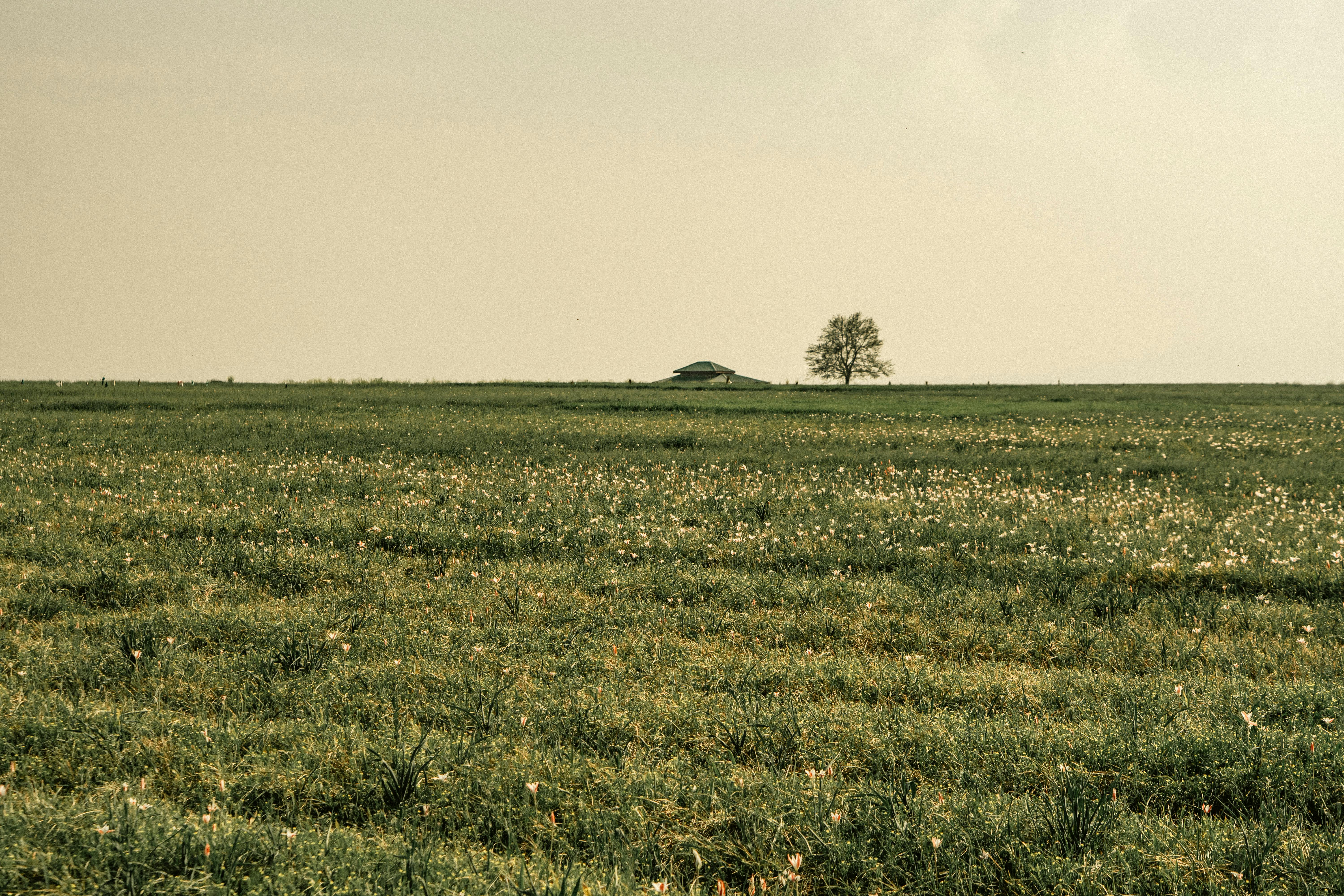 Biblical Hd Wallpaper Photos, Download The BEST Free Biblical Hd ...