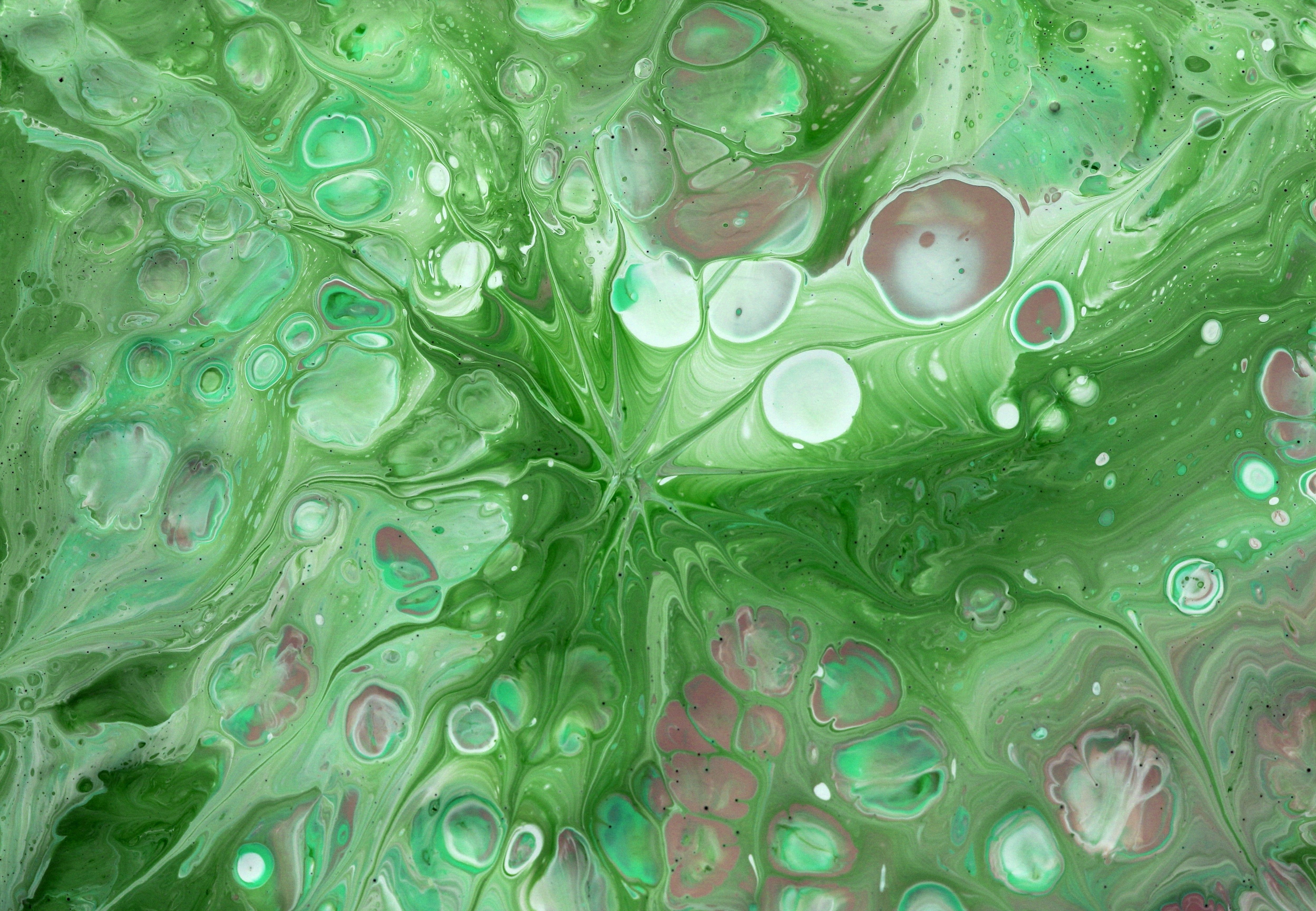 Abstract Green Fluid Art with Organic Shapes · Free Stock Photo