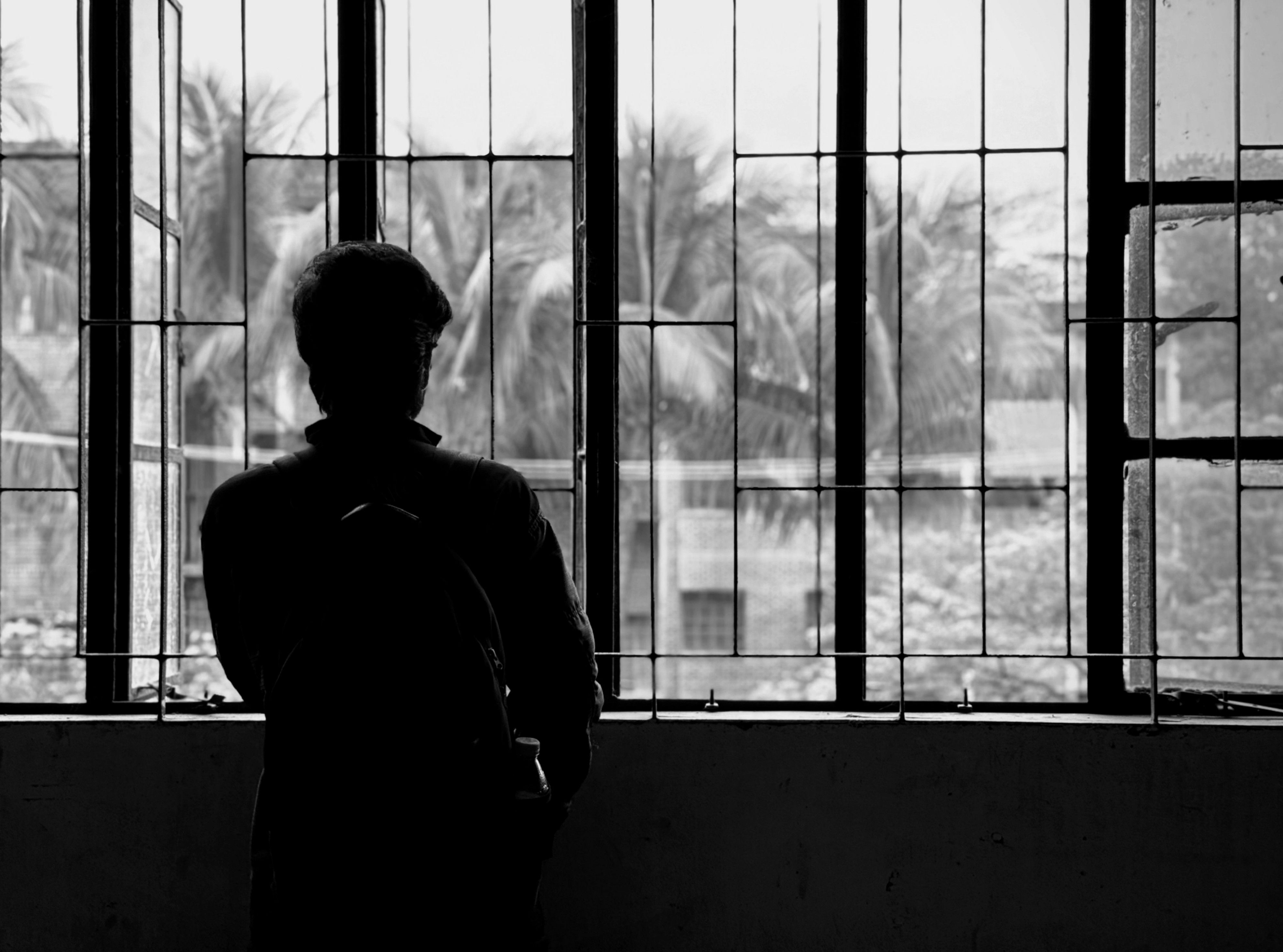Back Of Person Looking Out Window Photos, Download The BEST Free Back ...