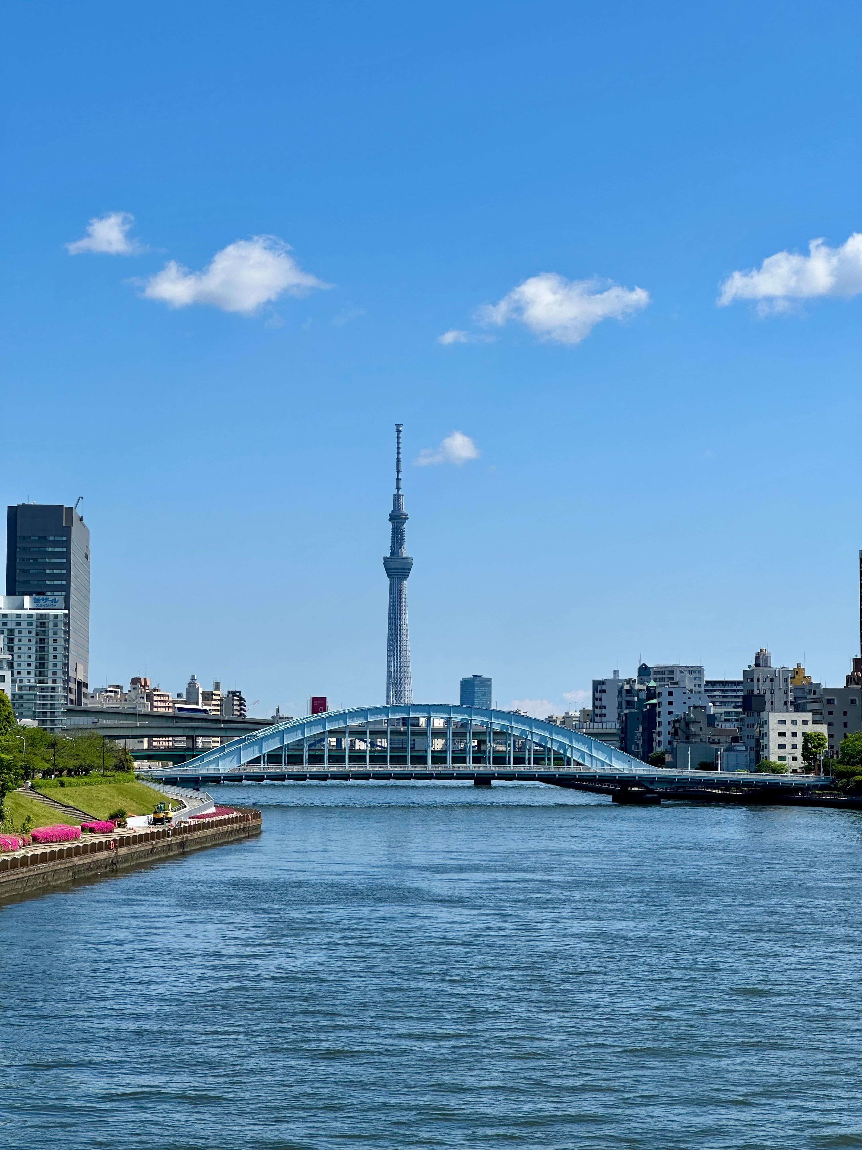 Tokyo Skytree Y Puente Sobre El Río Sumida · Foto de stock gratuita