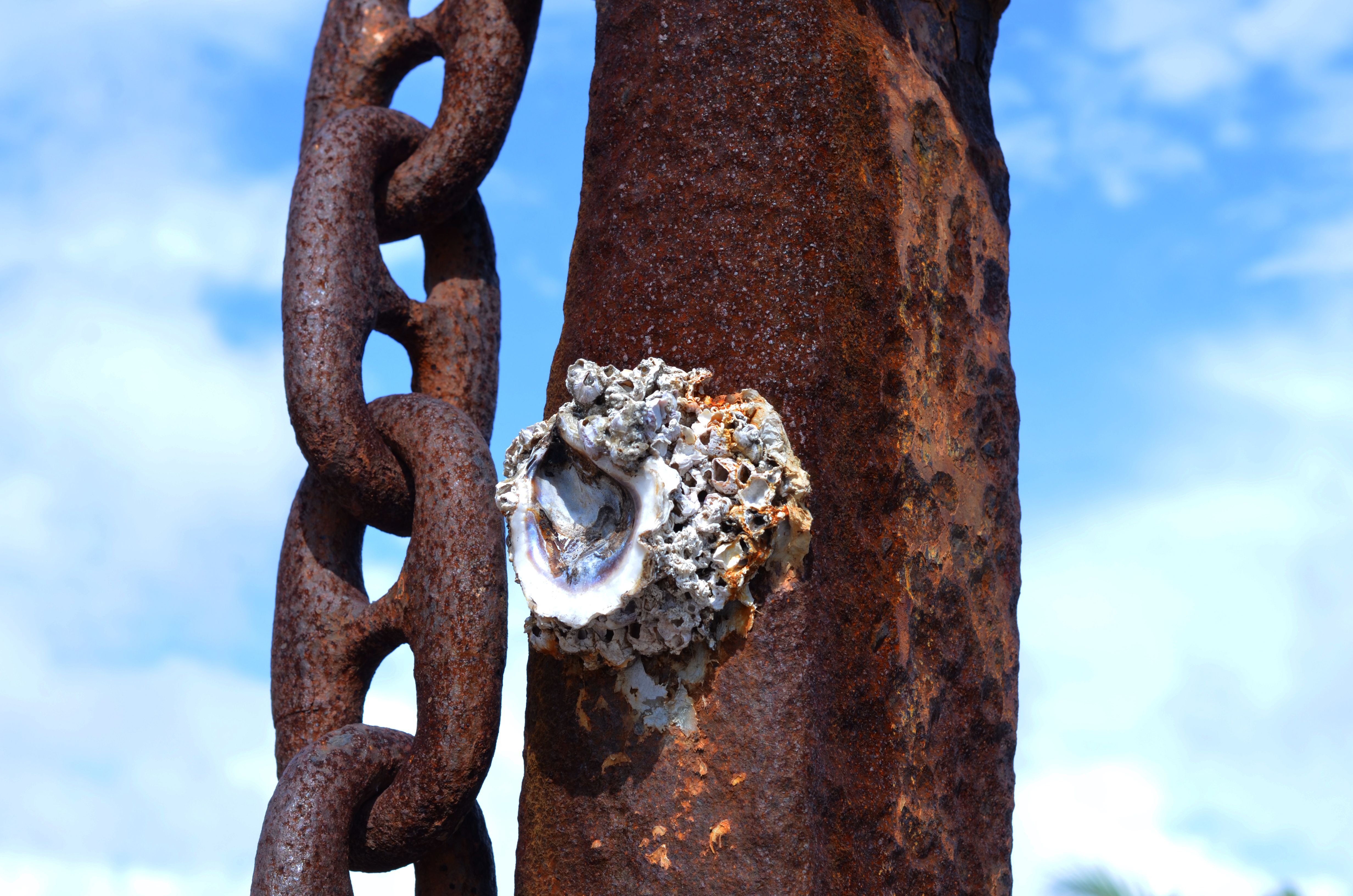 Corrosion Photos, Download The BEST Free Corrosion Stock Photos & HD Images