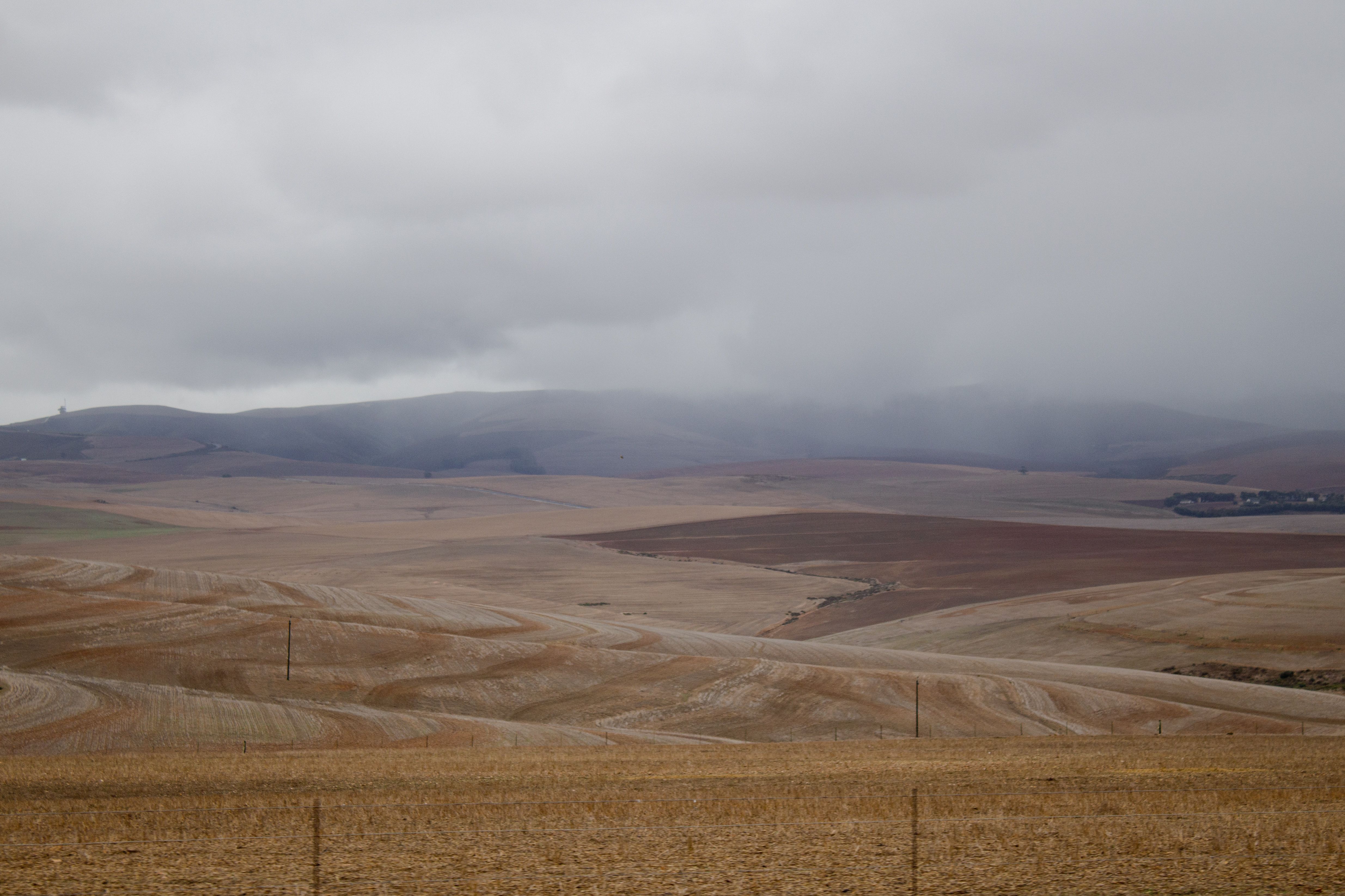 Vast Overcast Landscape with Rolling Hills · Free Stock Photo