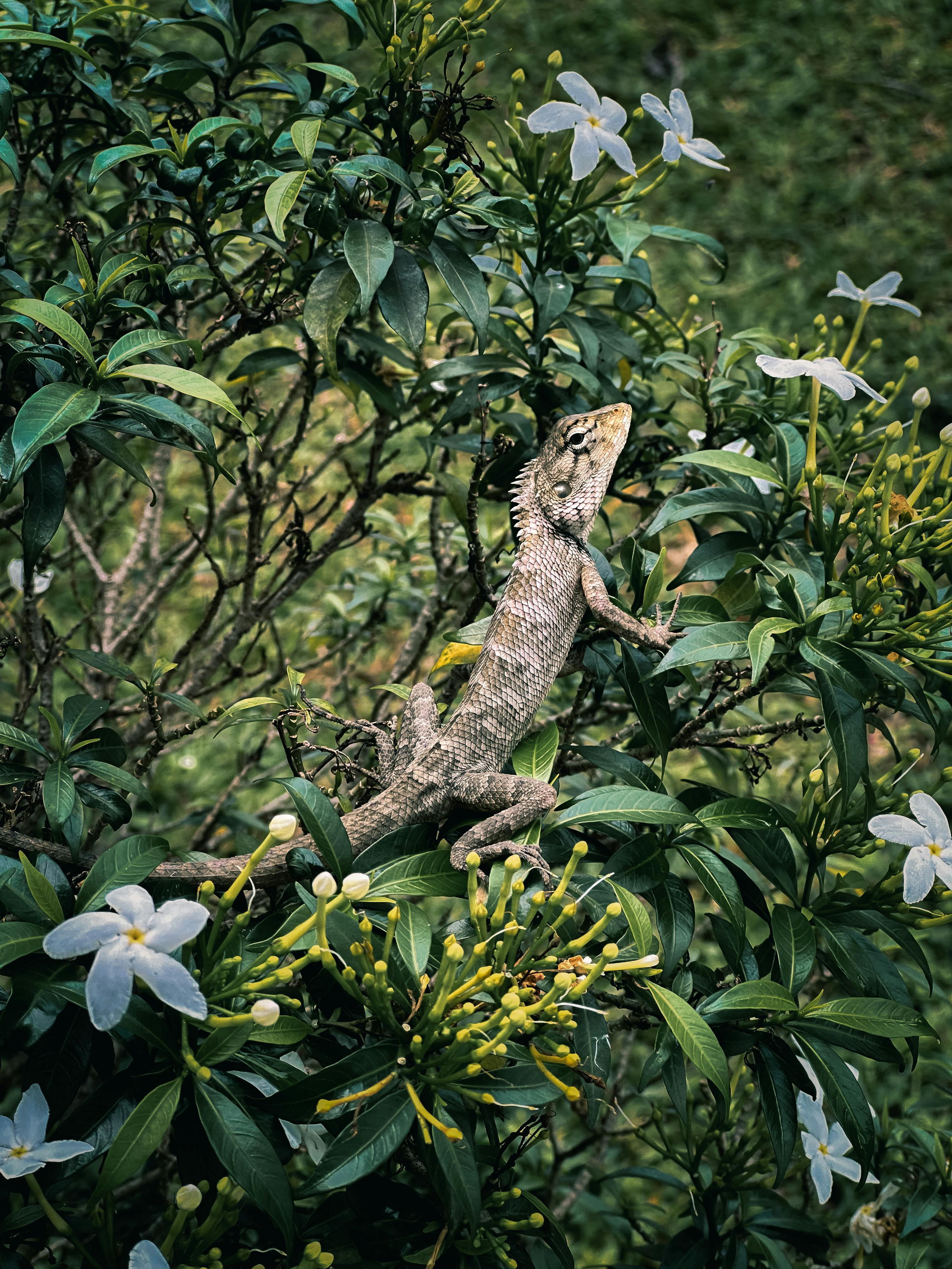 Biodiversity Photos, Download The BEST Free Biodiversity Stock Photos ...