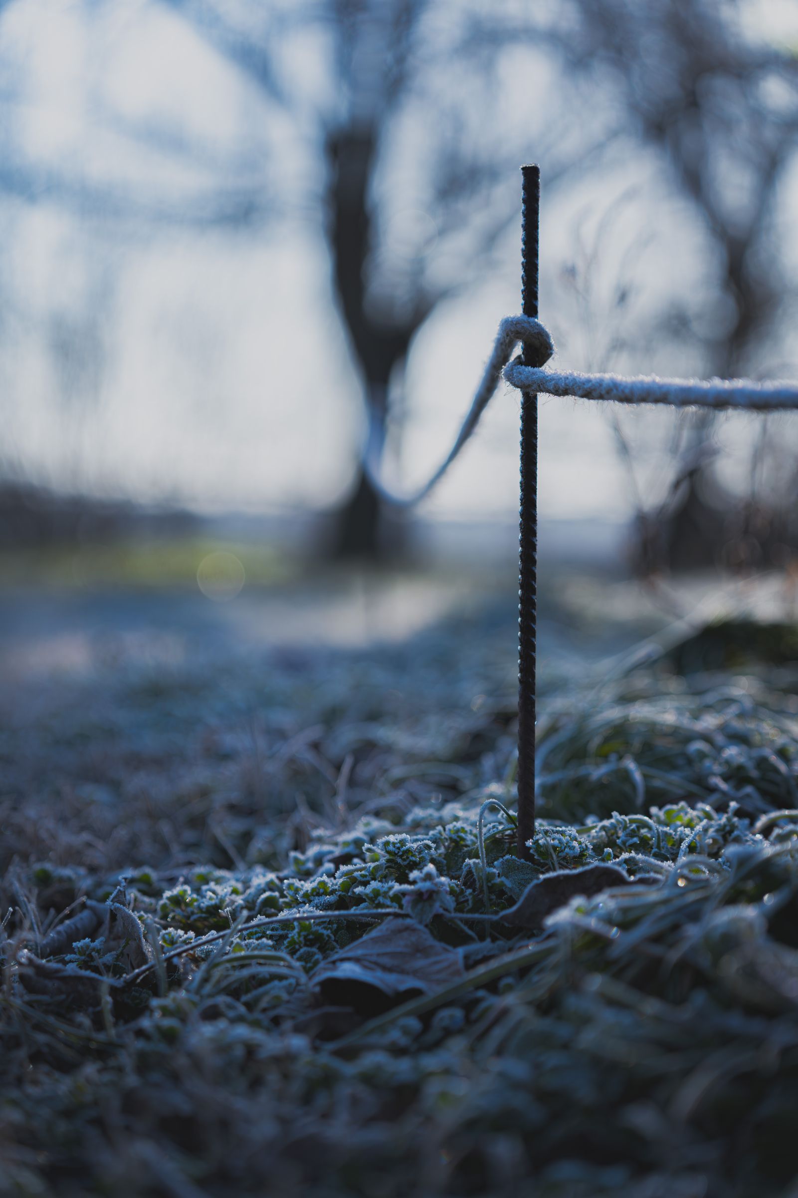 Cold Morning Photos, Download The BEST Free Cold Morning Stock Photos ...