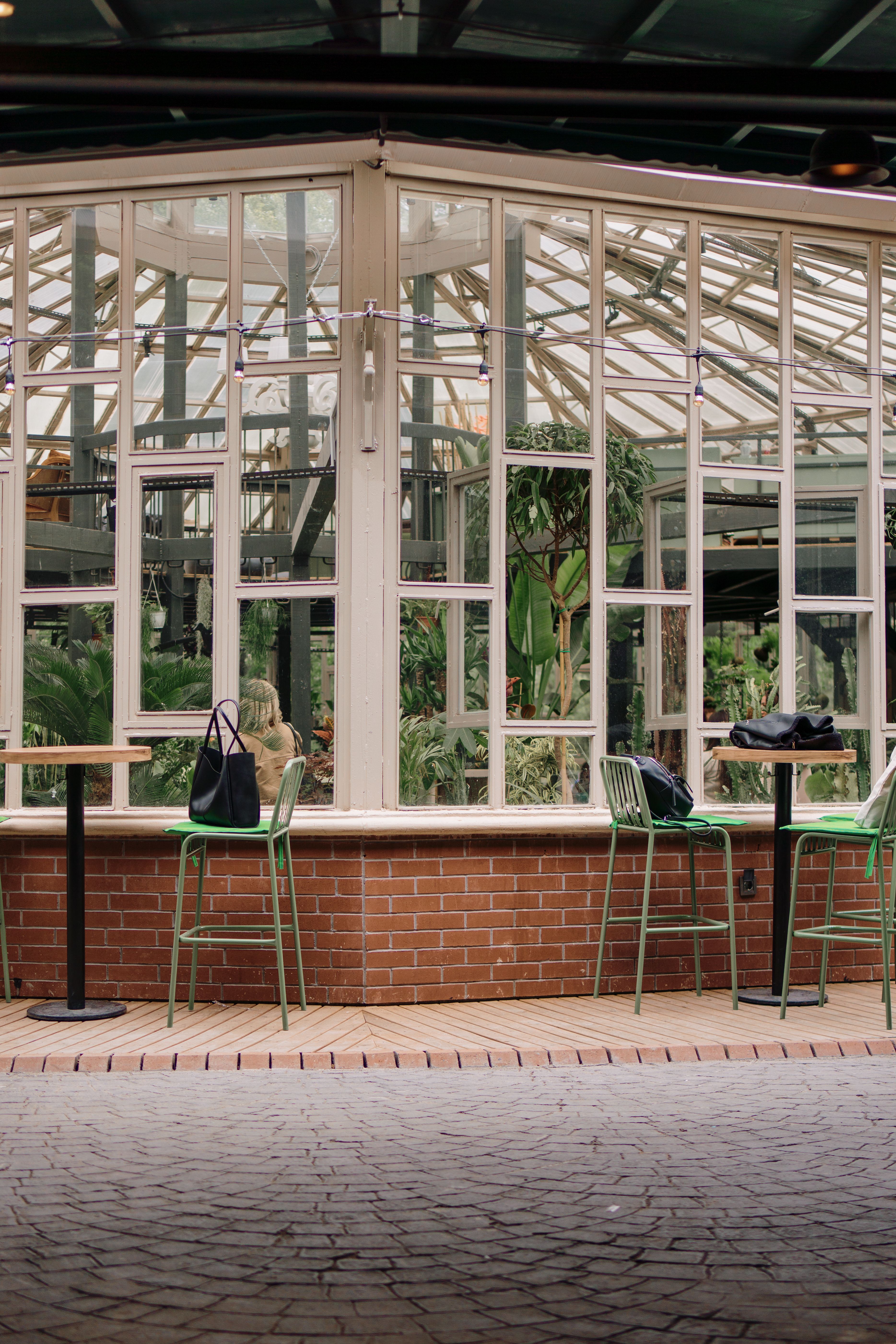 Cozy Cafe Seating in a Botanical Glasshouse · Free Stock Photo