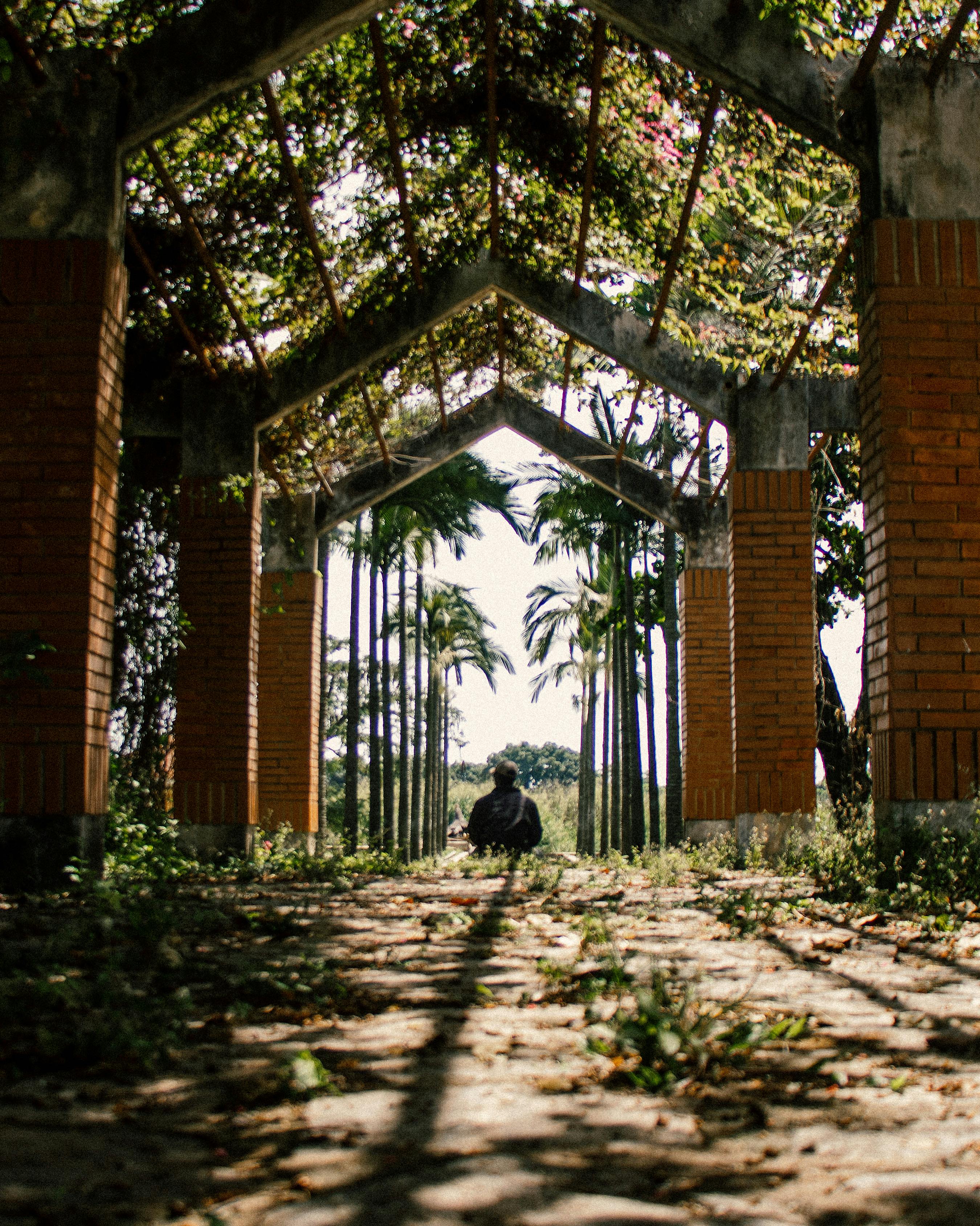 Désiré+Doué+4k Photos, Download The BEST Free Désiré+Doué+4k Stock ...