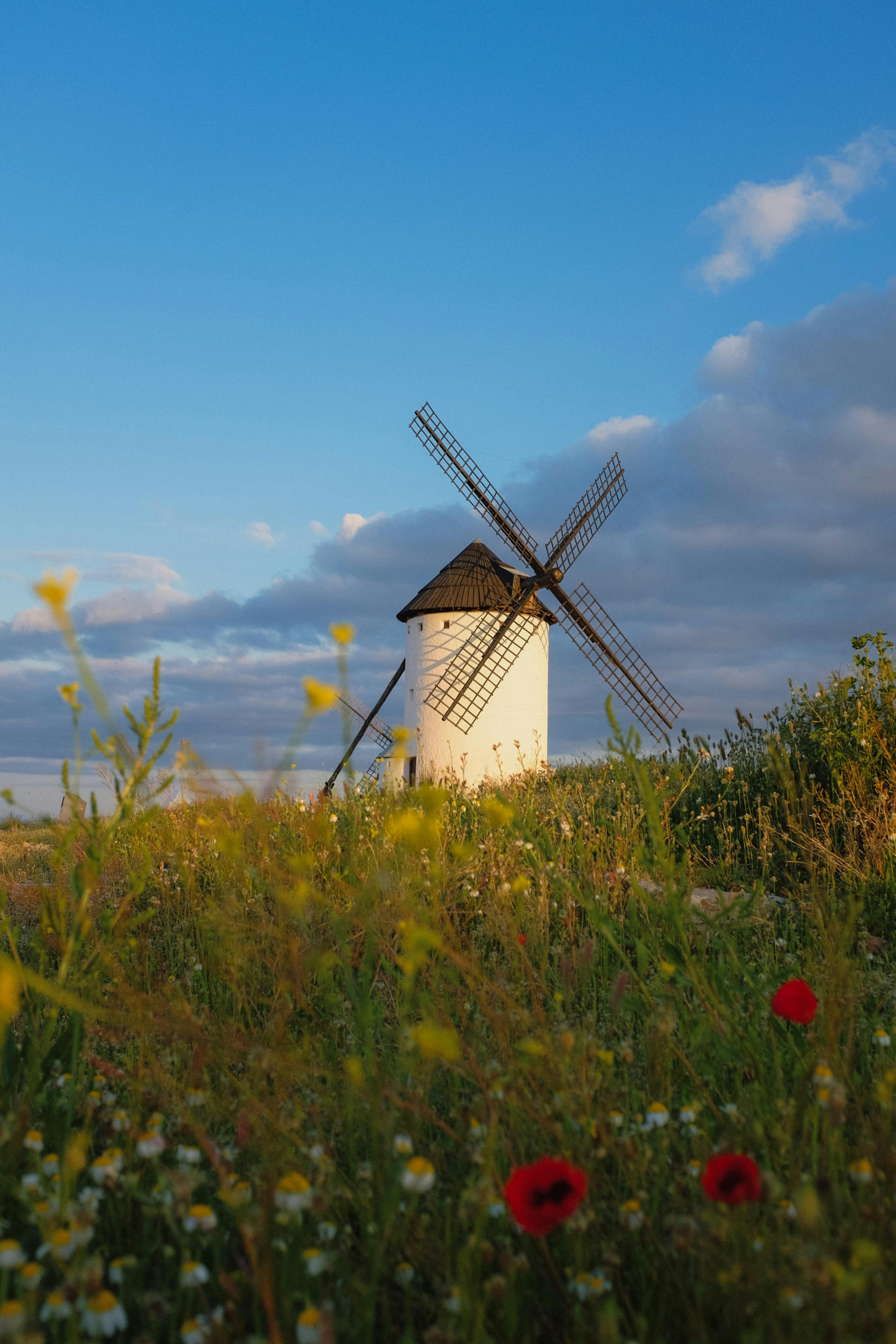 Charming White Windmill in Spring Meadow Landscape · Free Stock Photo