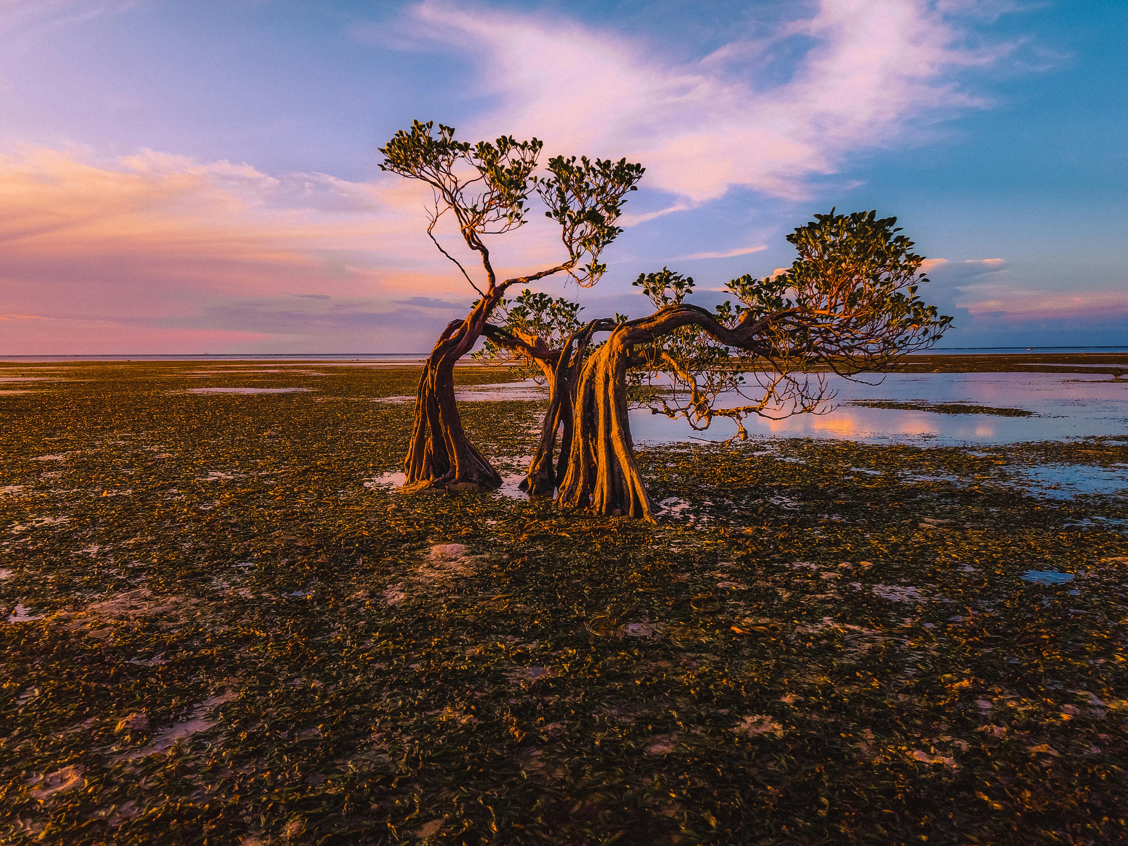 Environmental Conservation Photos, Download The BEST Free Environmental ...