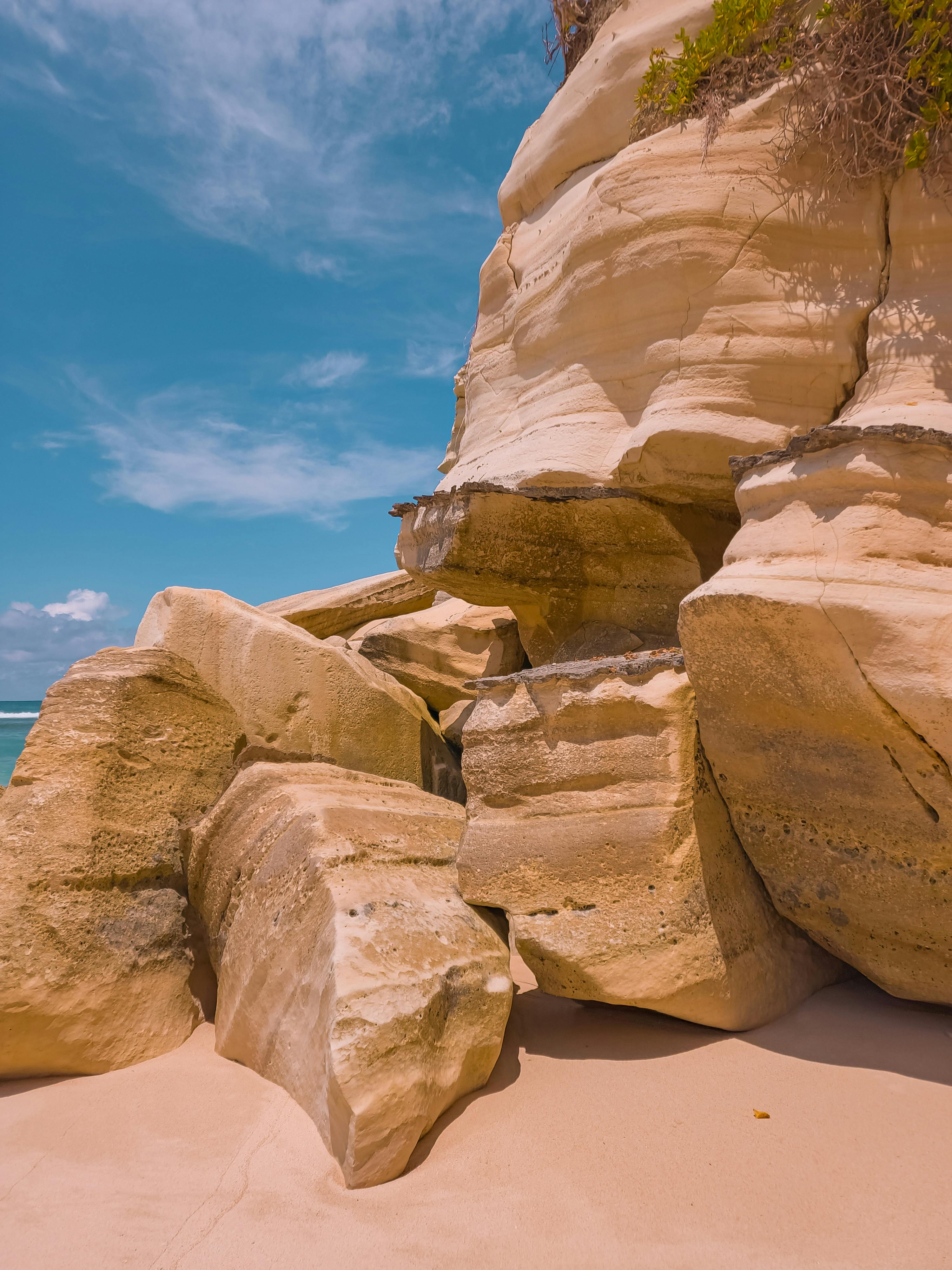 Pam+Bondi+Beach+Pic Photos, Download The BEST Free Pam+Bondi+Beach+Pic ...