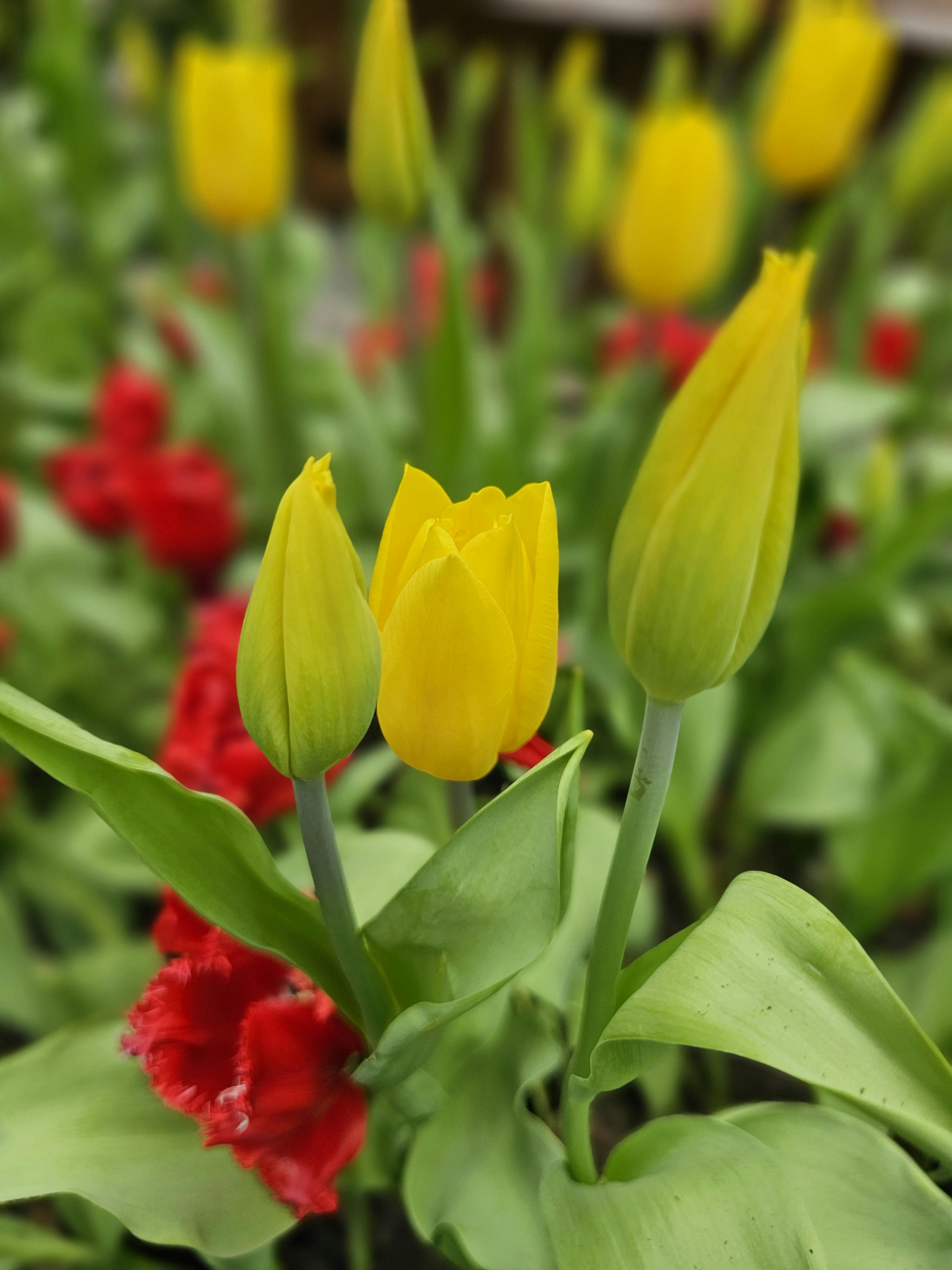 Nakida+Grills+In+Bed Photos, Download The BEST Free Nakida+Grills+In ...