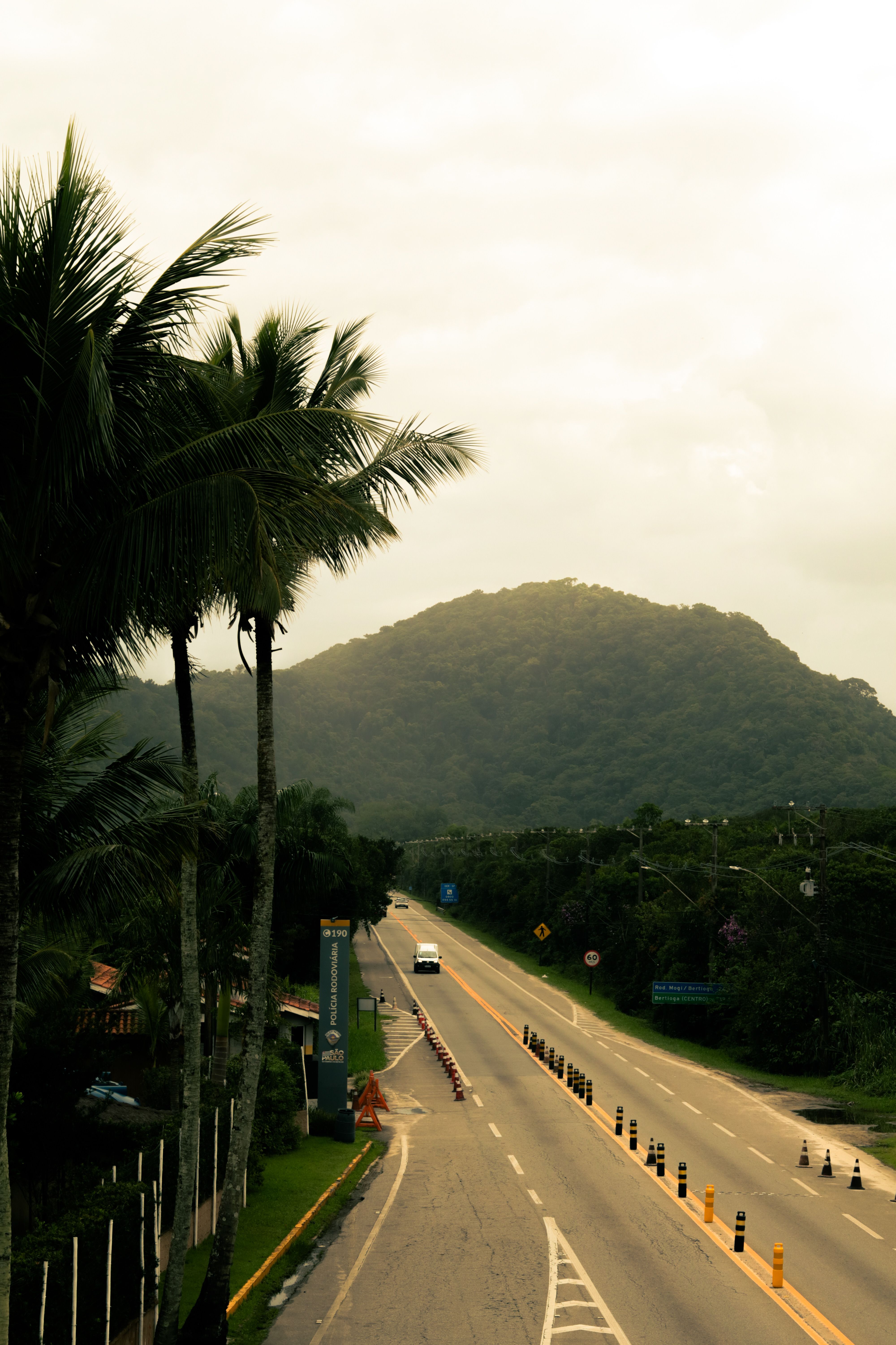Scenic Mountain Highway with Palm Trees · Free Stock Photo