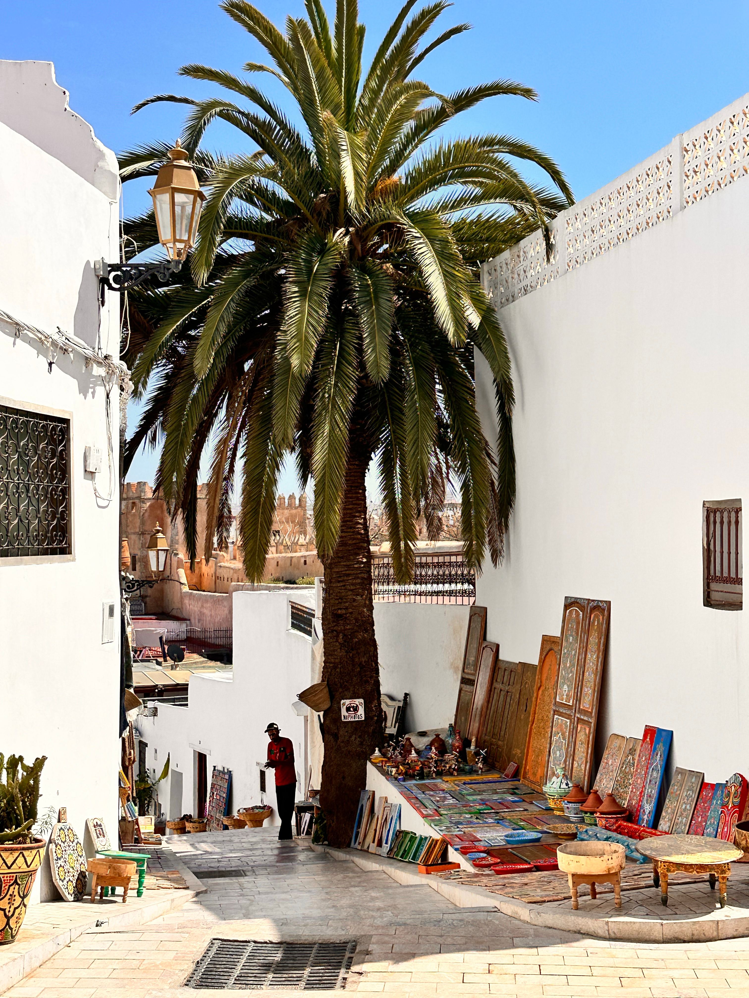 Colorful Moroccan Street Market in Sunshine · Free Stock Photo