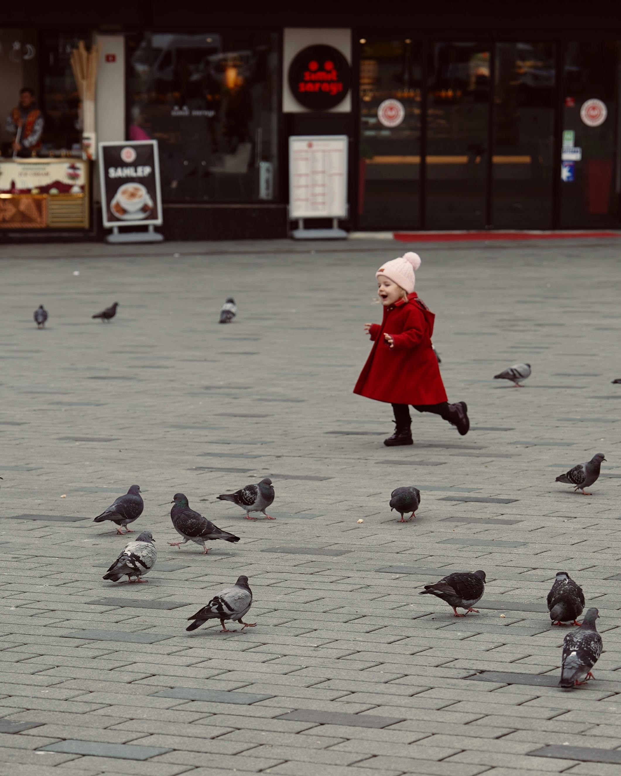 Child Chasing Pigeons in Urban Square · Free Stock Photo