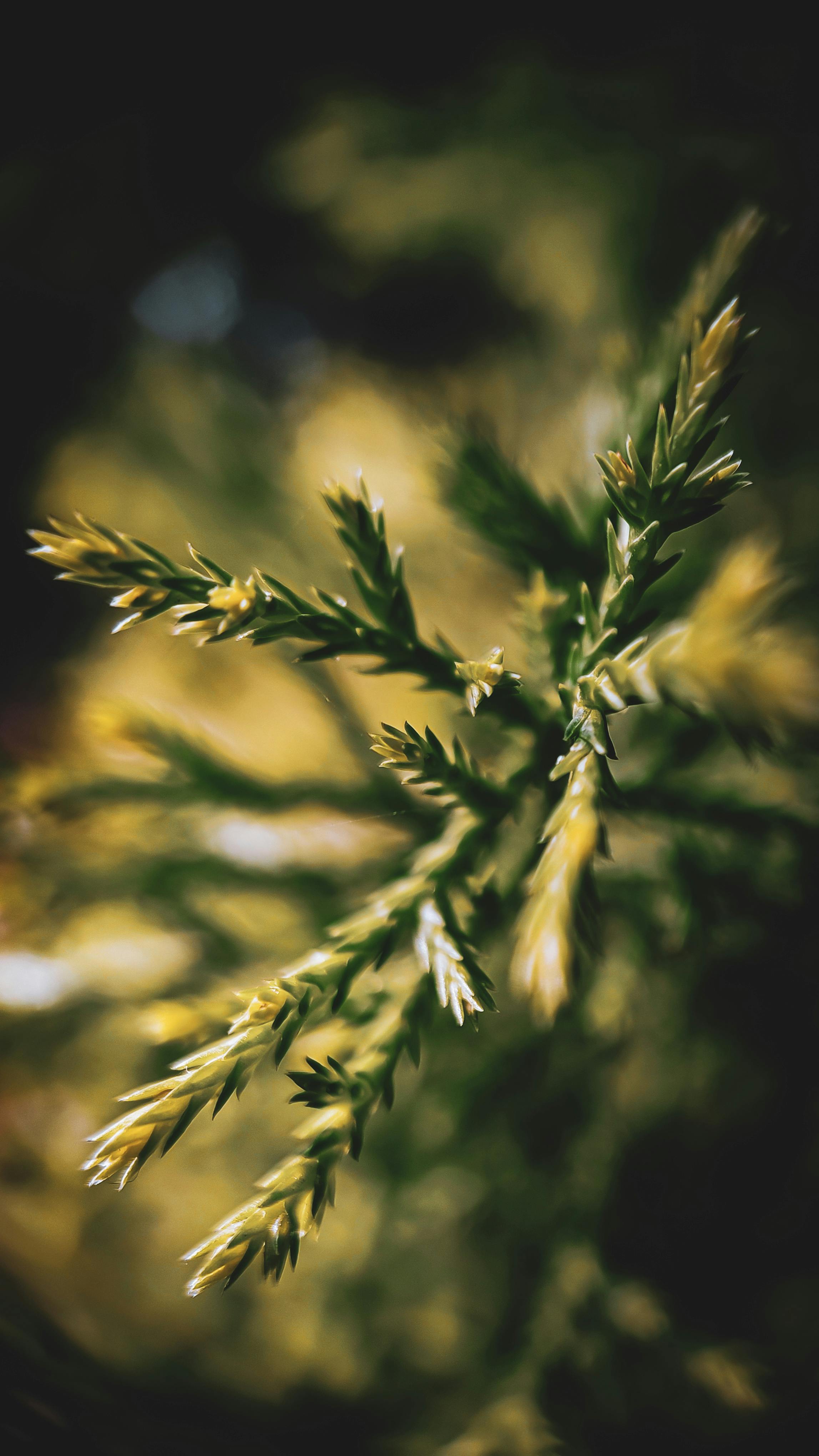 4x6 Background Photos, Download The BEST Free 4x6 Background Stock ...