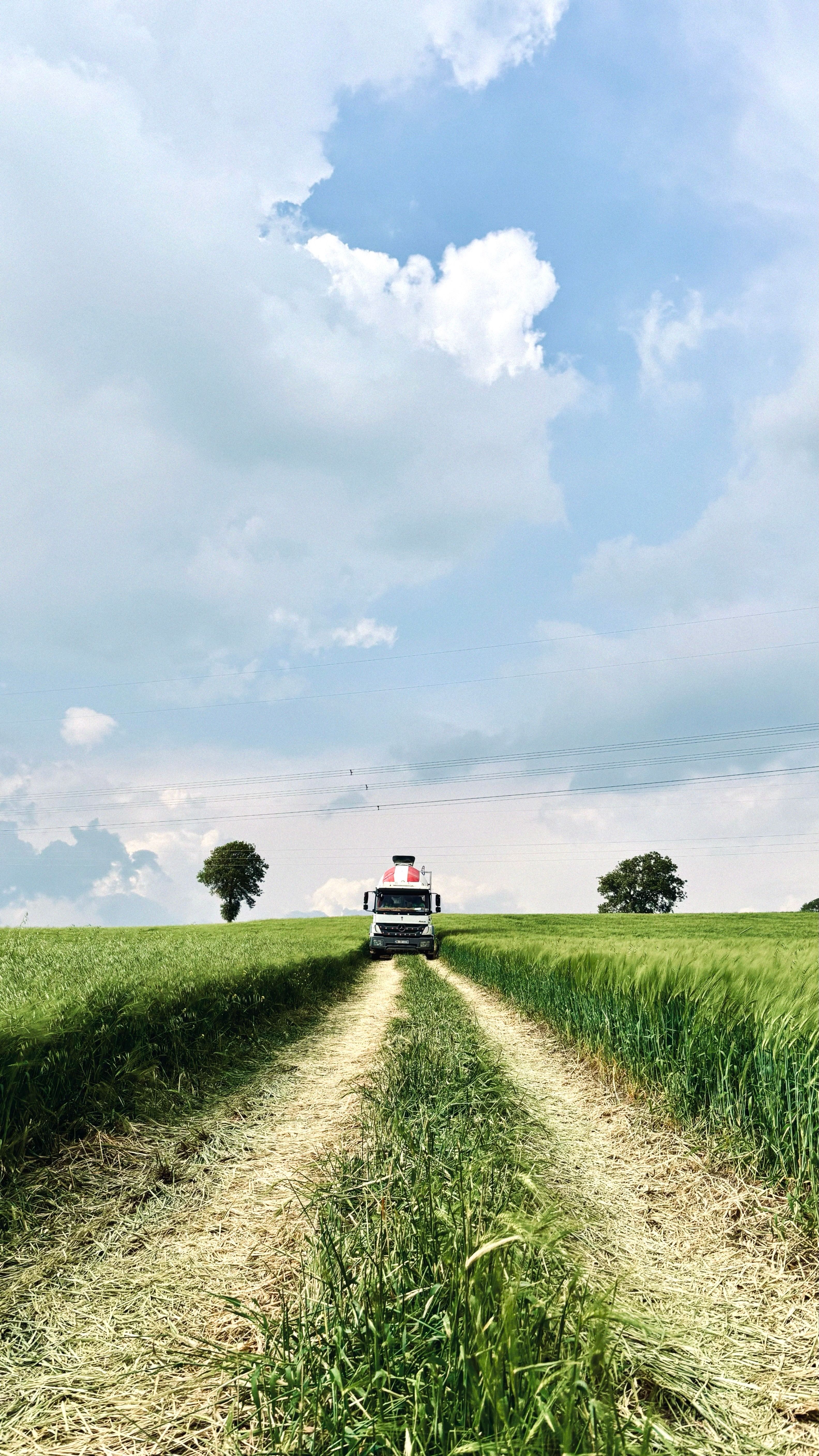 Grass Landscape Photos, Download The BEST Free Grass Landscape Stock ...