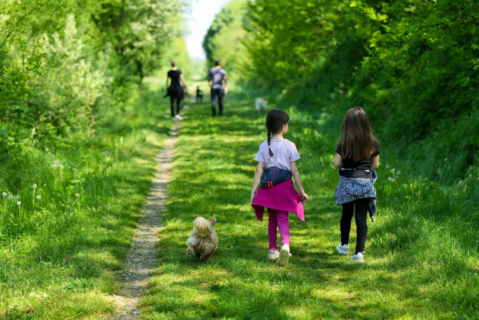 Icey Path Photos, Download The BEST Free Icey Path Stock Photos & HD Images