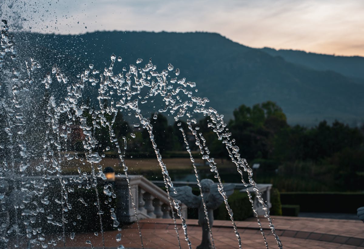 Free Pick Photos, Download The BEST Free Free Pick Stock Photos & HD Images