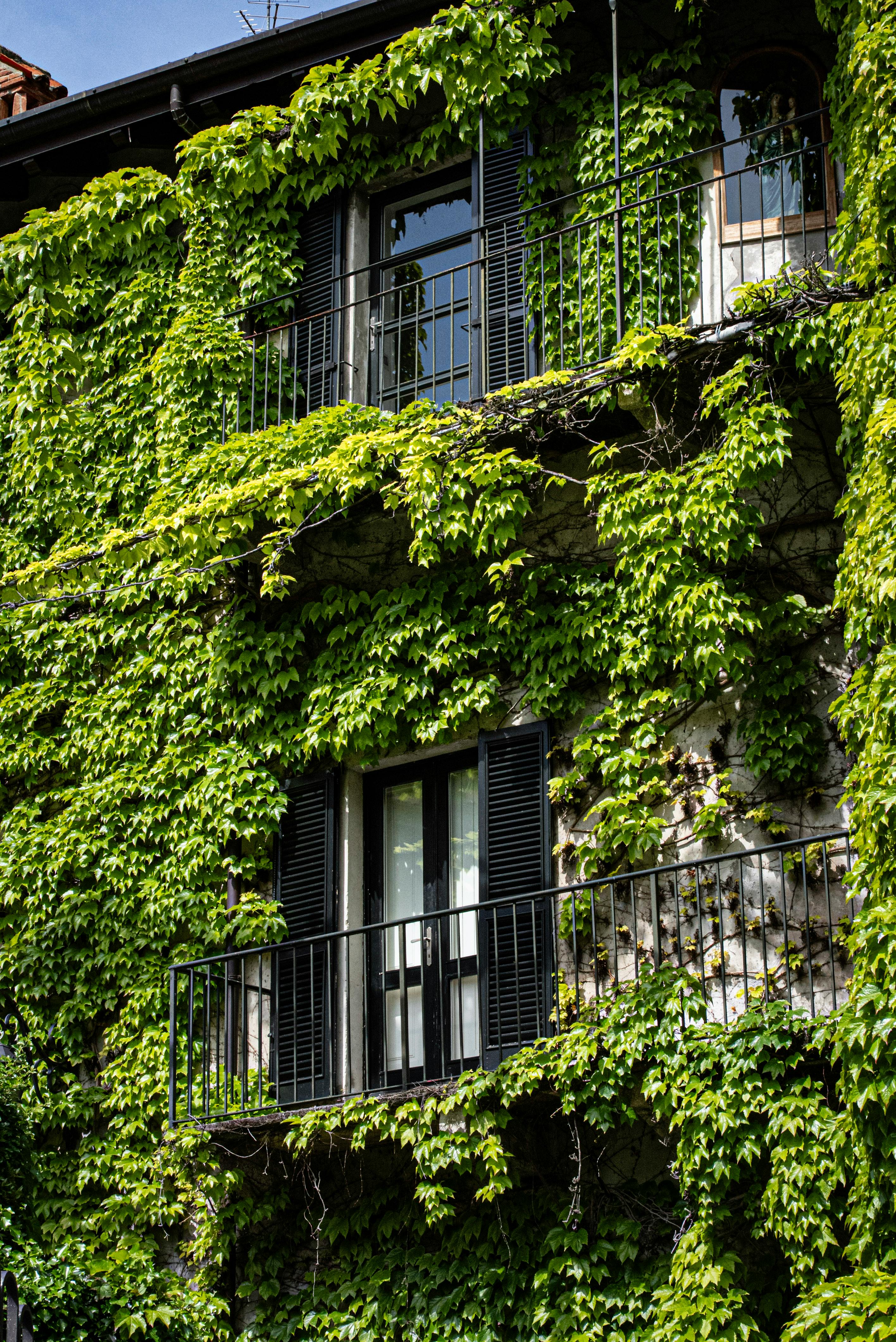 Charming Ivy-Covered Building Facade in Bellagio · Free Stock Photo