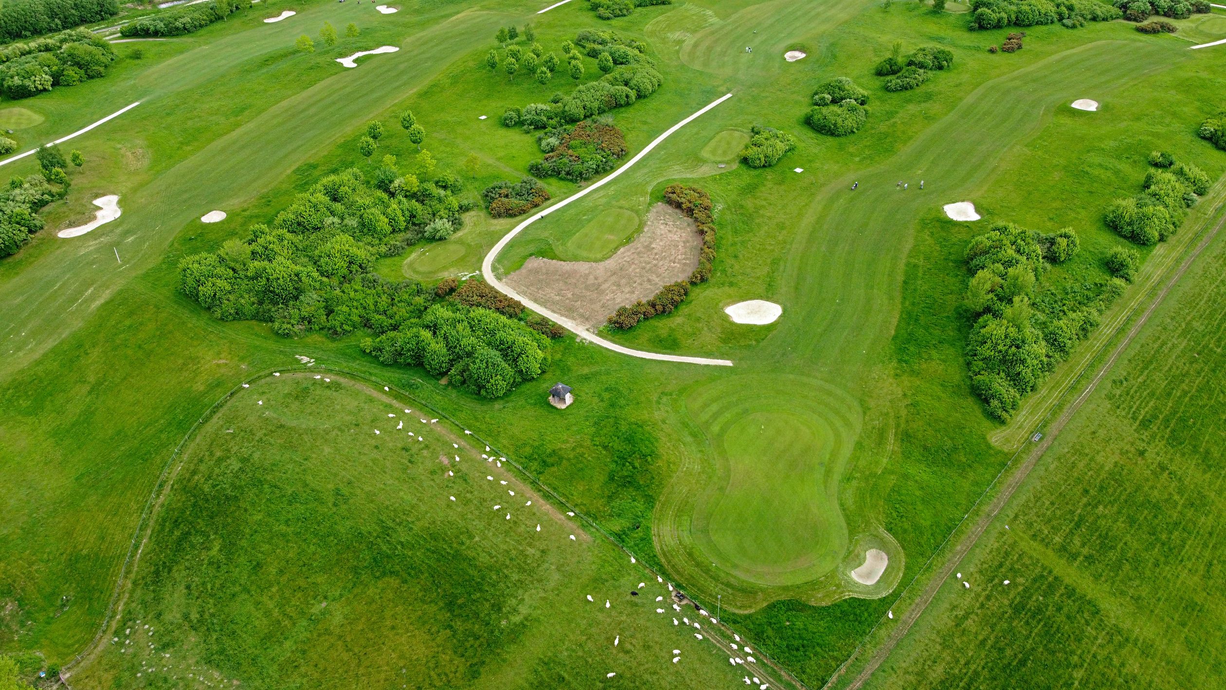 Scenic Aerial View of a Lush Golf Course Landscape · Free Stock Photo
