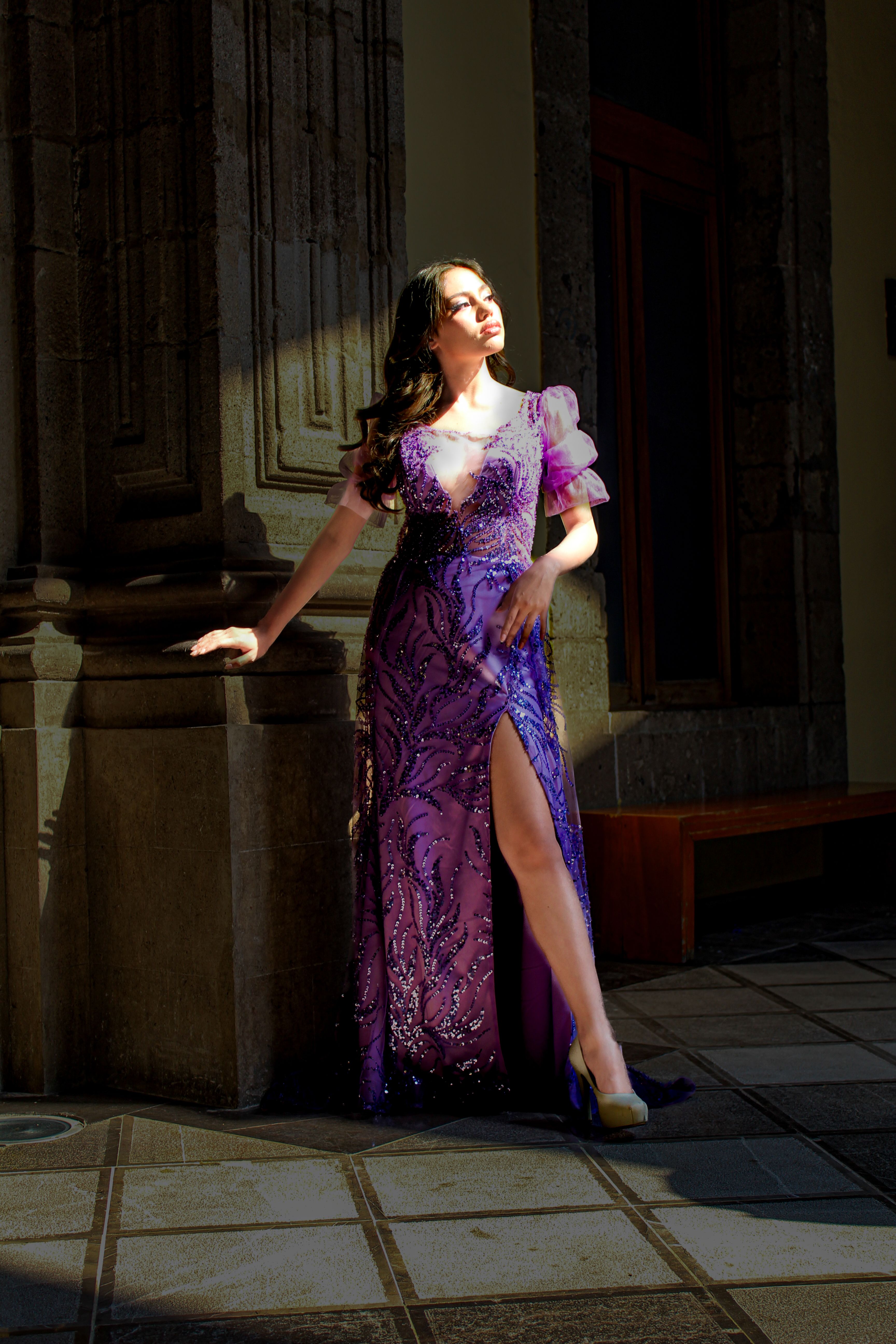 Elegant Woman in Lavish Purple Evening Gown · Free Stock Photo