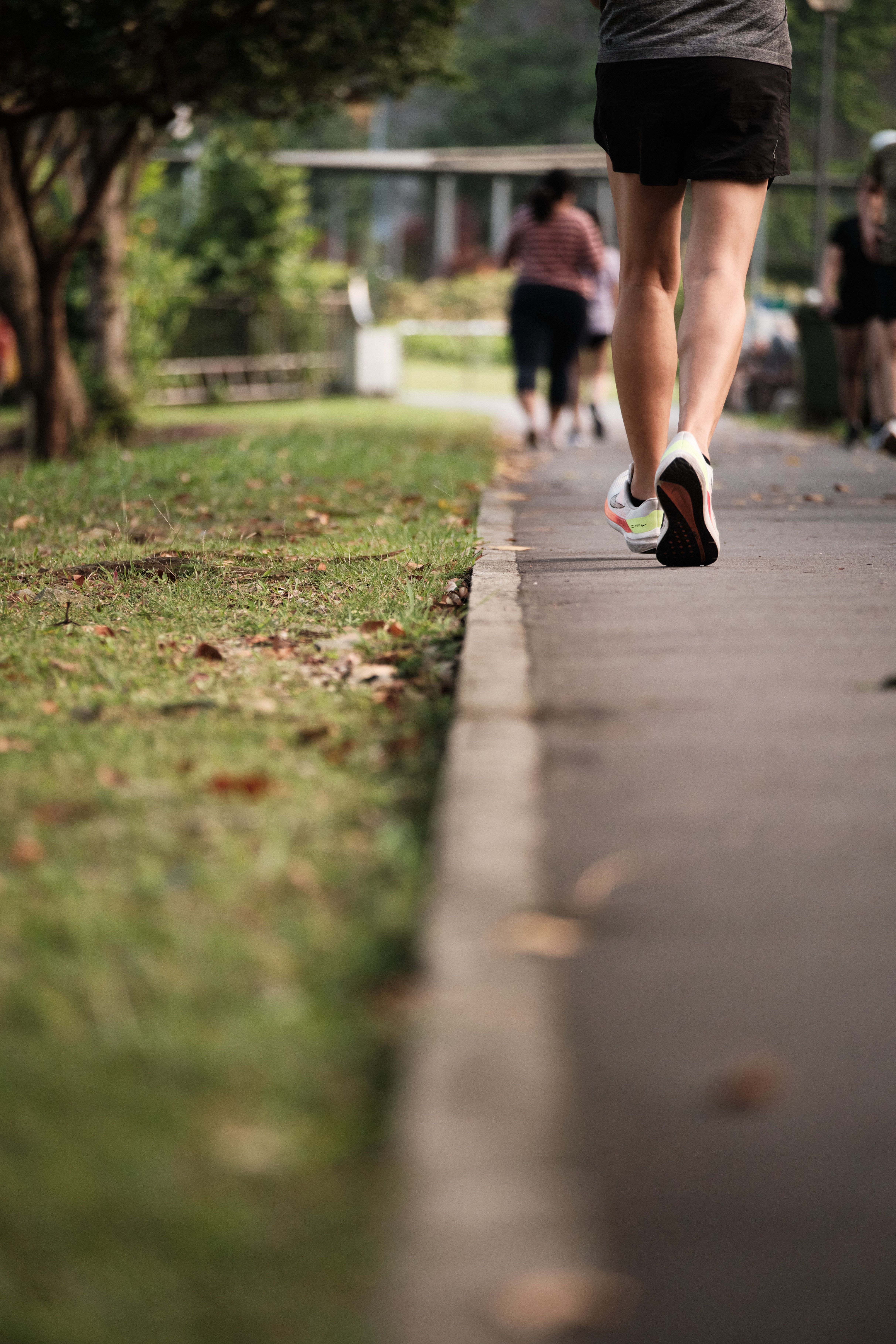 Jogger on Park Path during Summer Day · Free Stock Photo