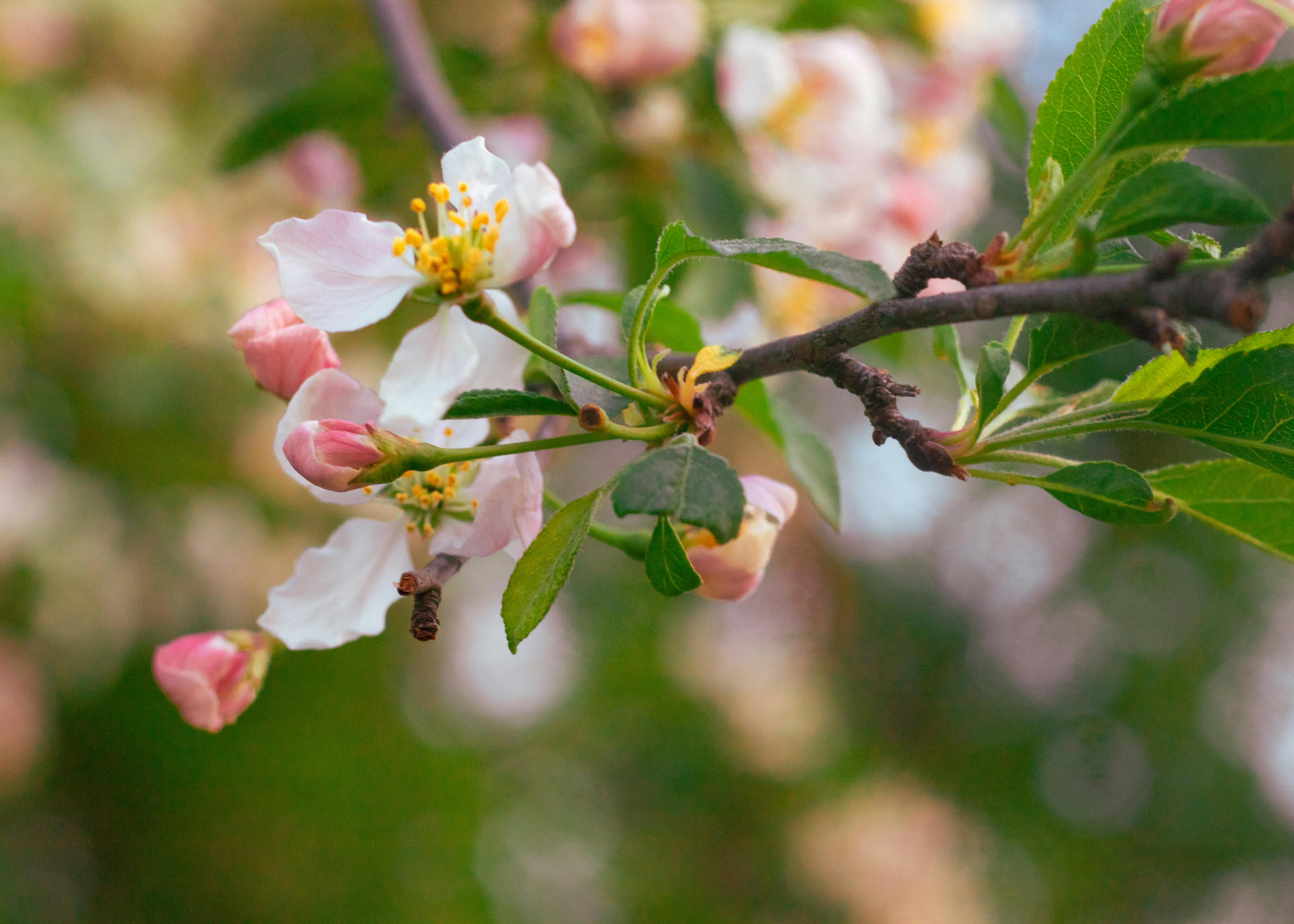 Tender App Photos, Download The BEST Free Tender App Stock Photos & HD ...