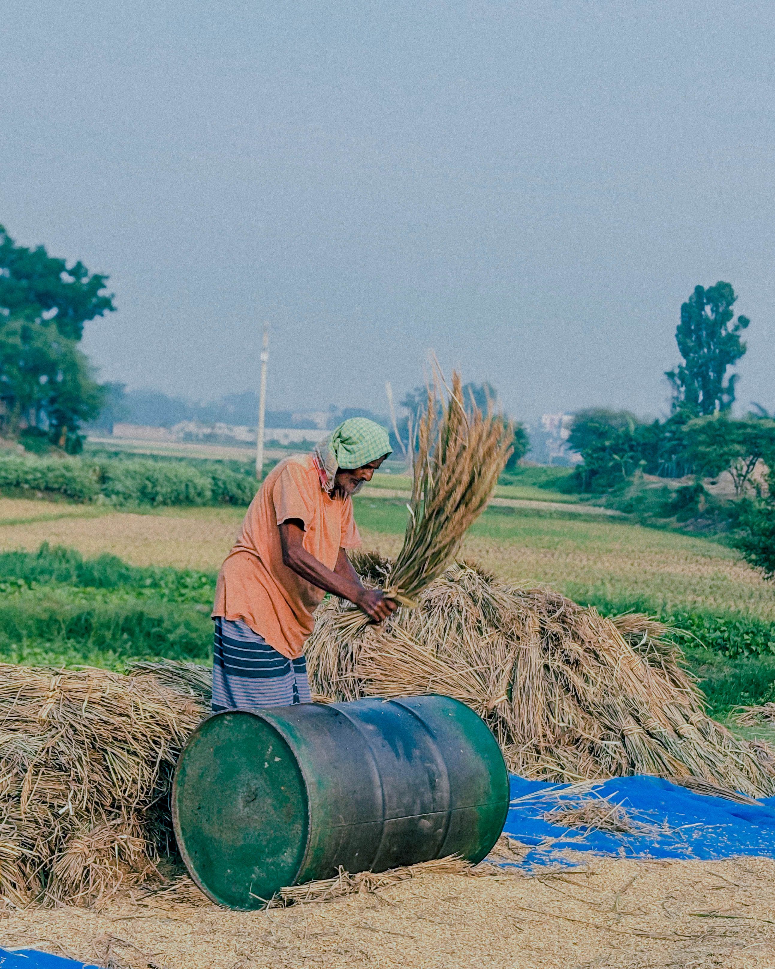 Farming Methods Photos, Download The BEST Free Farming Methods Stock ...