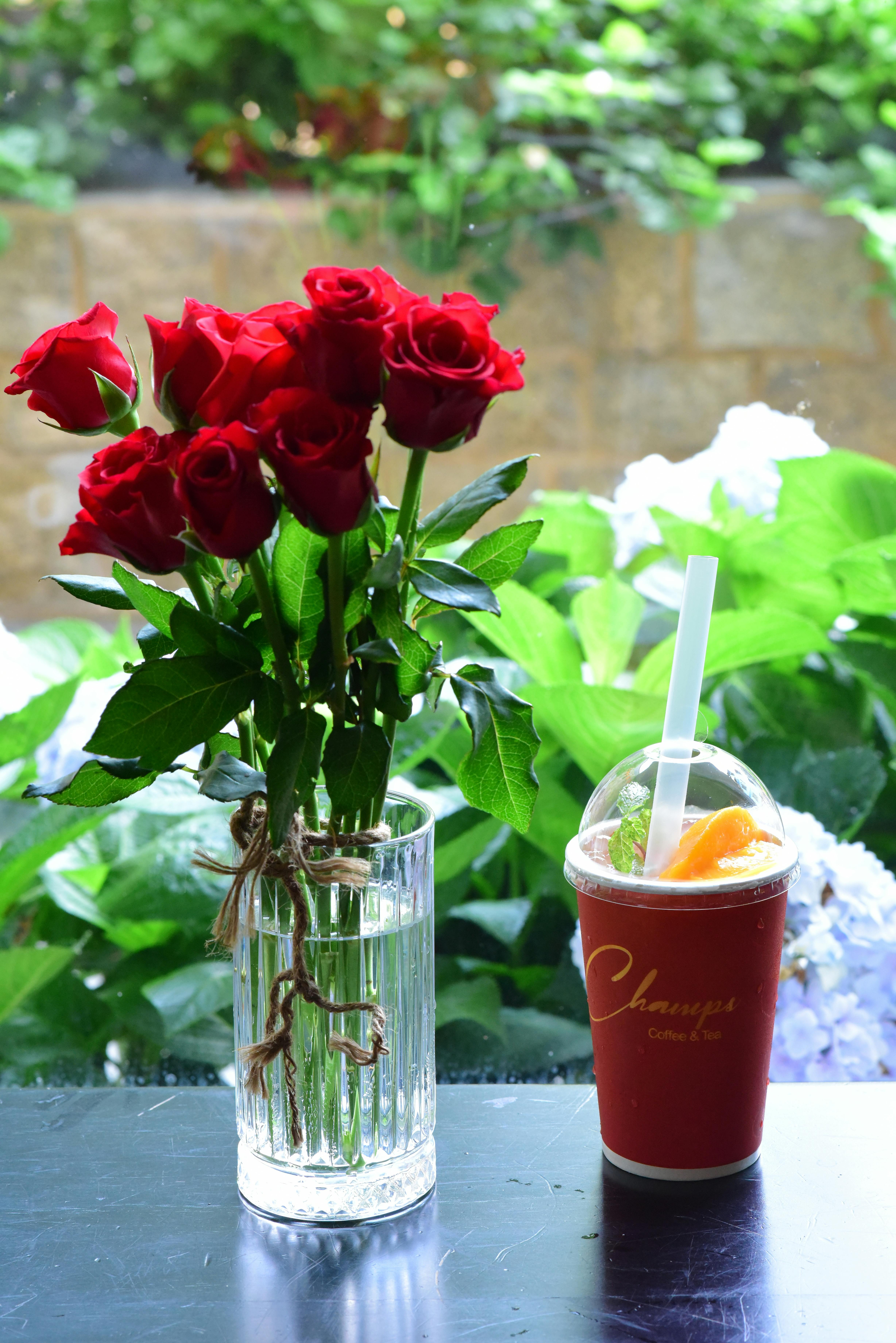 Elegant Red Roses with Refreshing Iced Drink · Free Stock Photo
