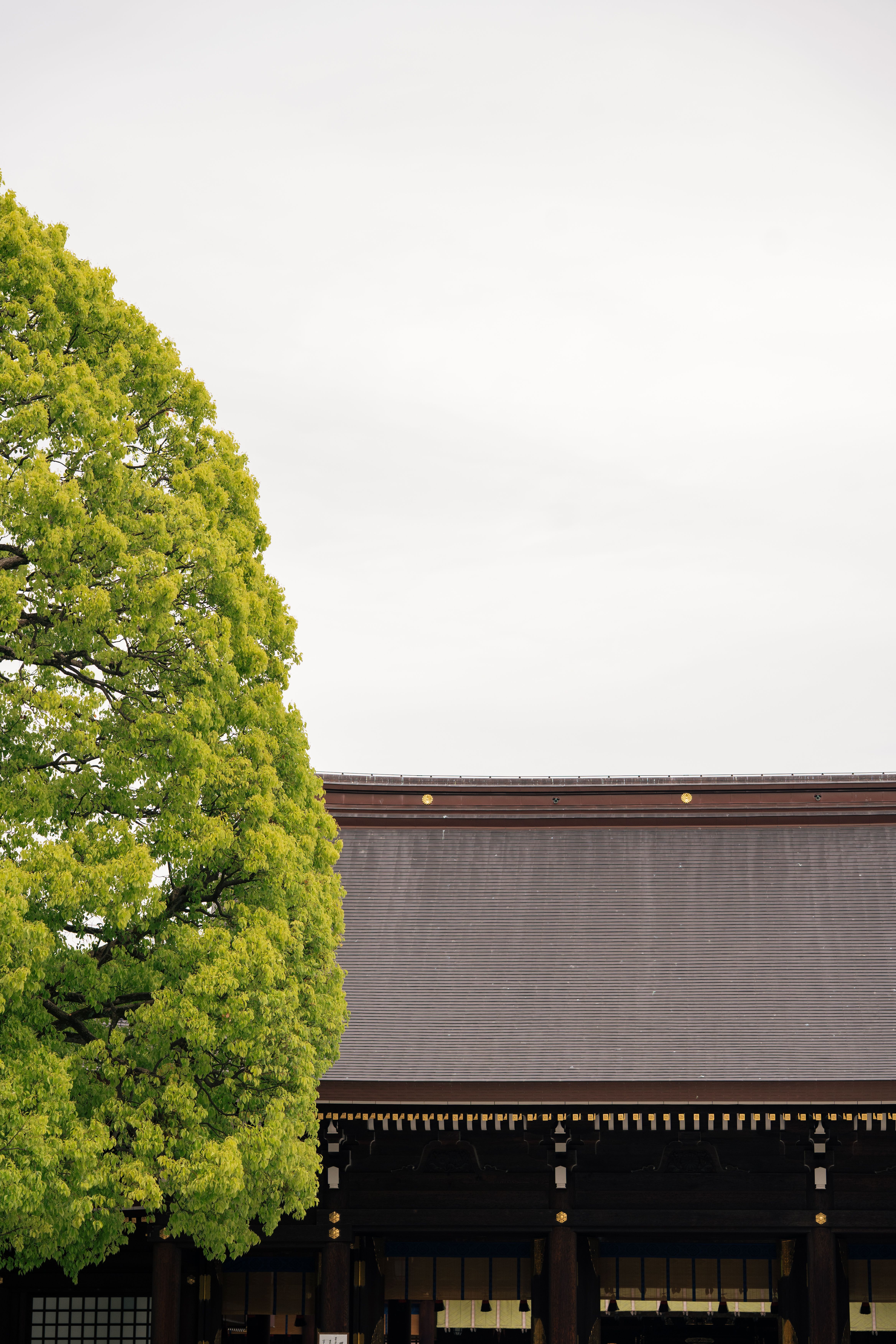 Traditional Japanese Architecture and Lush Tree in Tokyo · Free Stock Photo