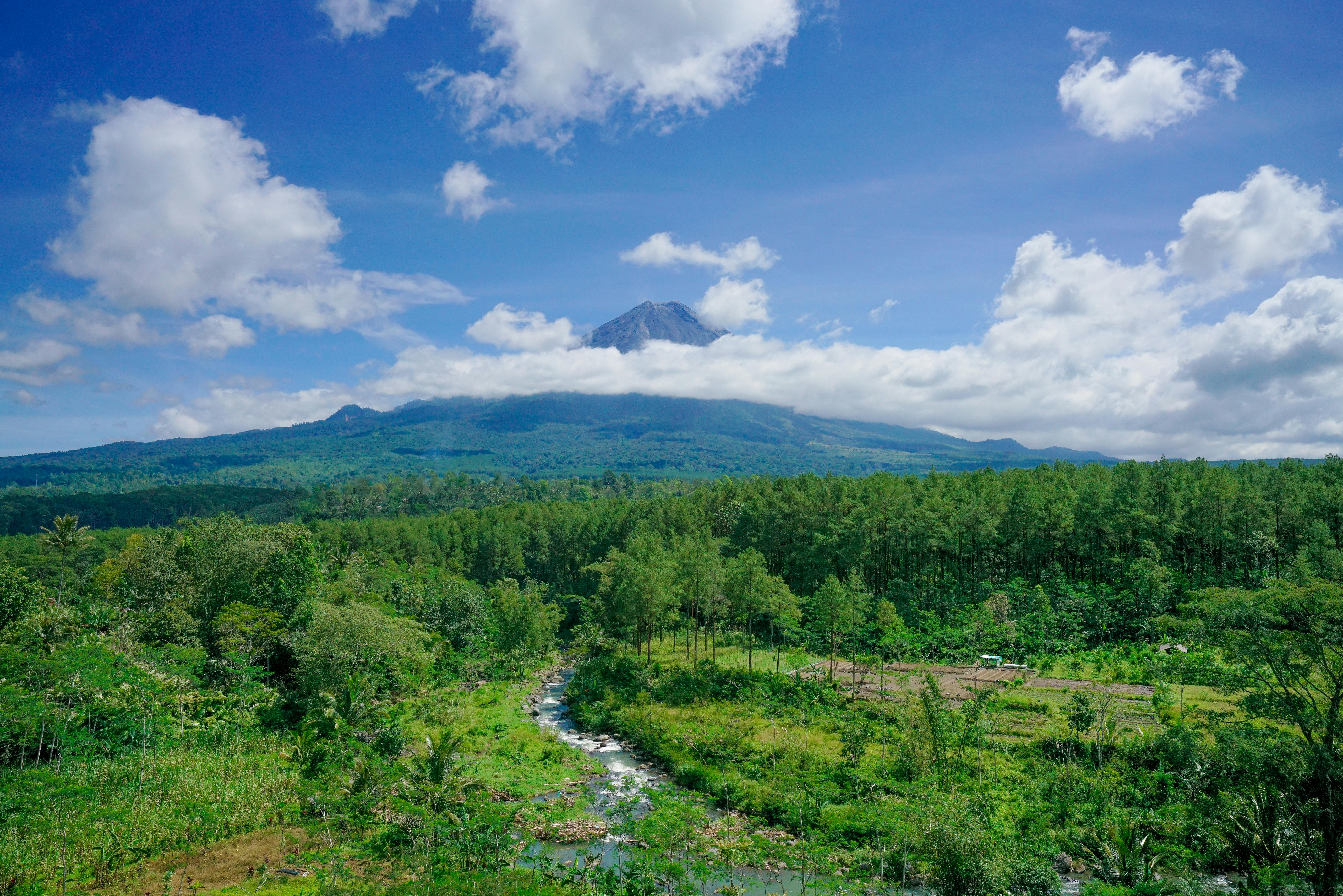 Majestic Mount Semeru Amidst Lush Greenery · Free Stock Photo