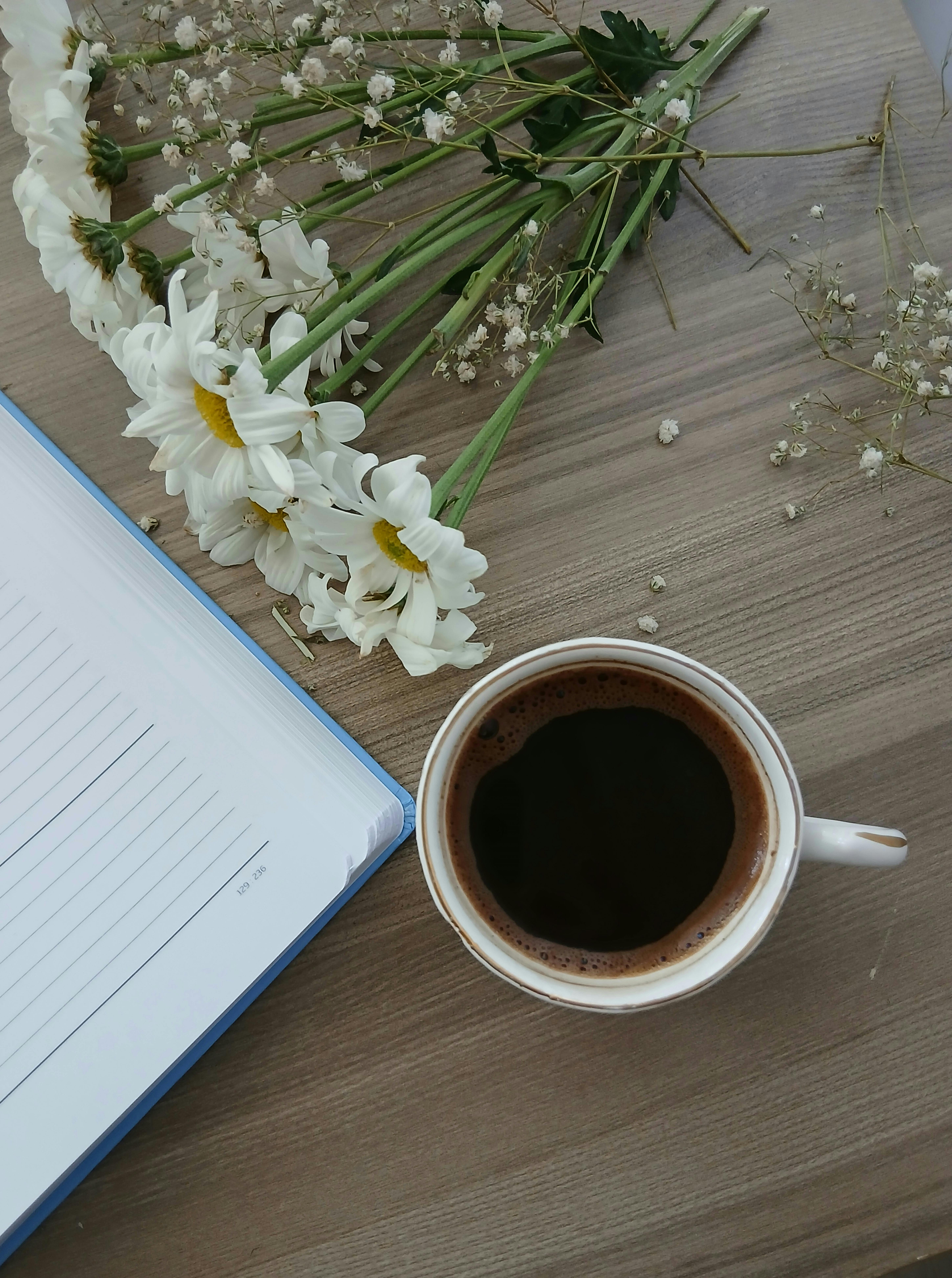 100.000+ melhores imagens de Notebook Wallpapers · Download 100% grátis ...