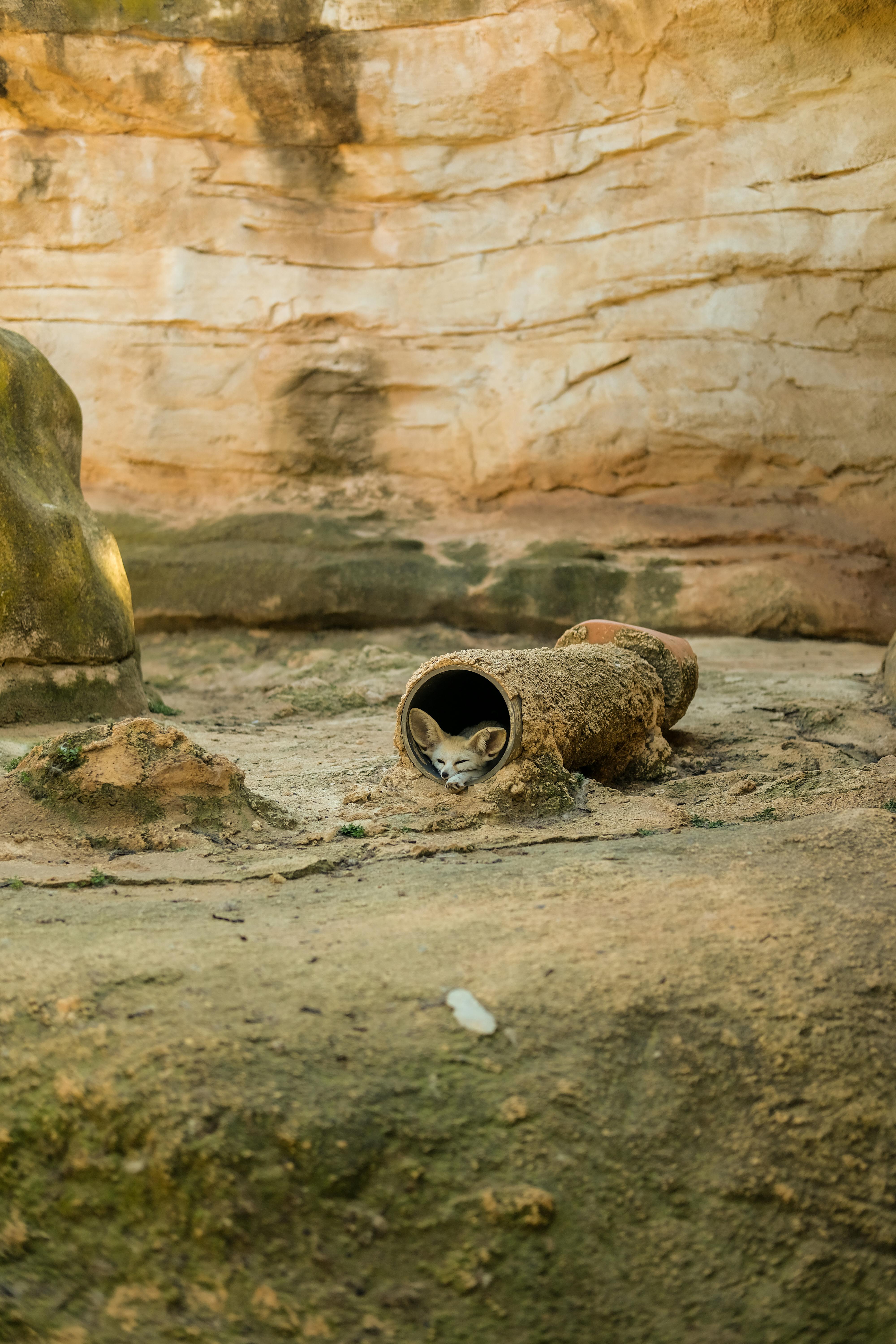 Pipe Dent Photos, Download The BEST Free Pipe Dent Stock Photos & HD Images