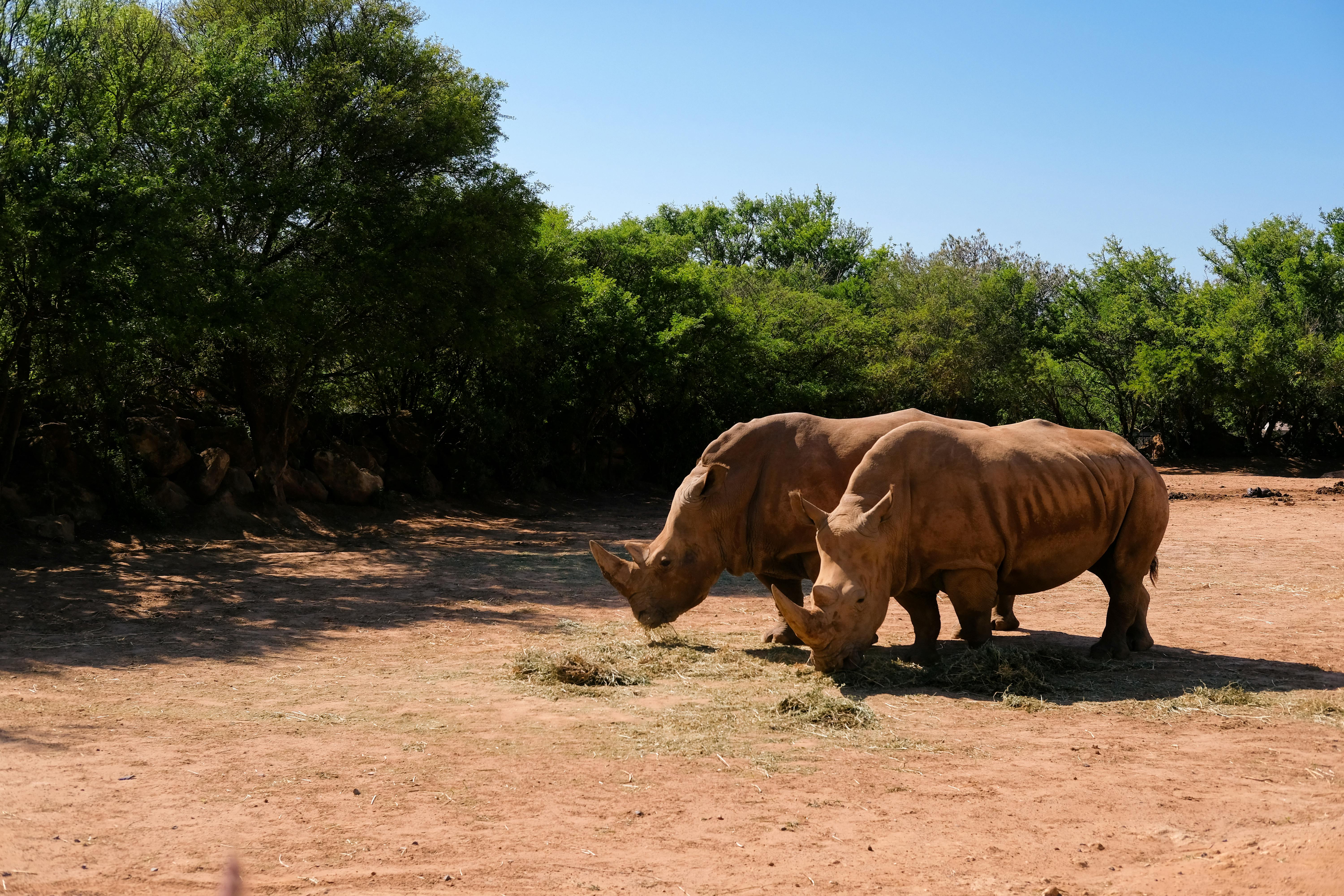 Tablica Two Photos, Download The BEST Free Tablica Two Stock Photos ...