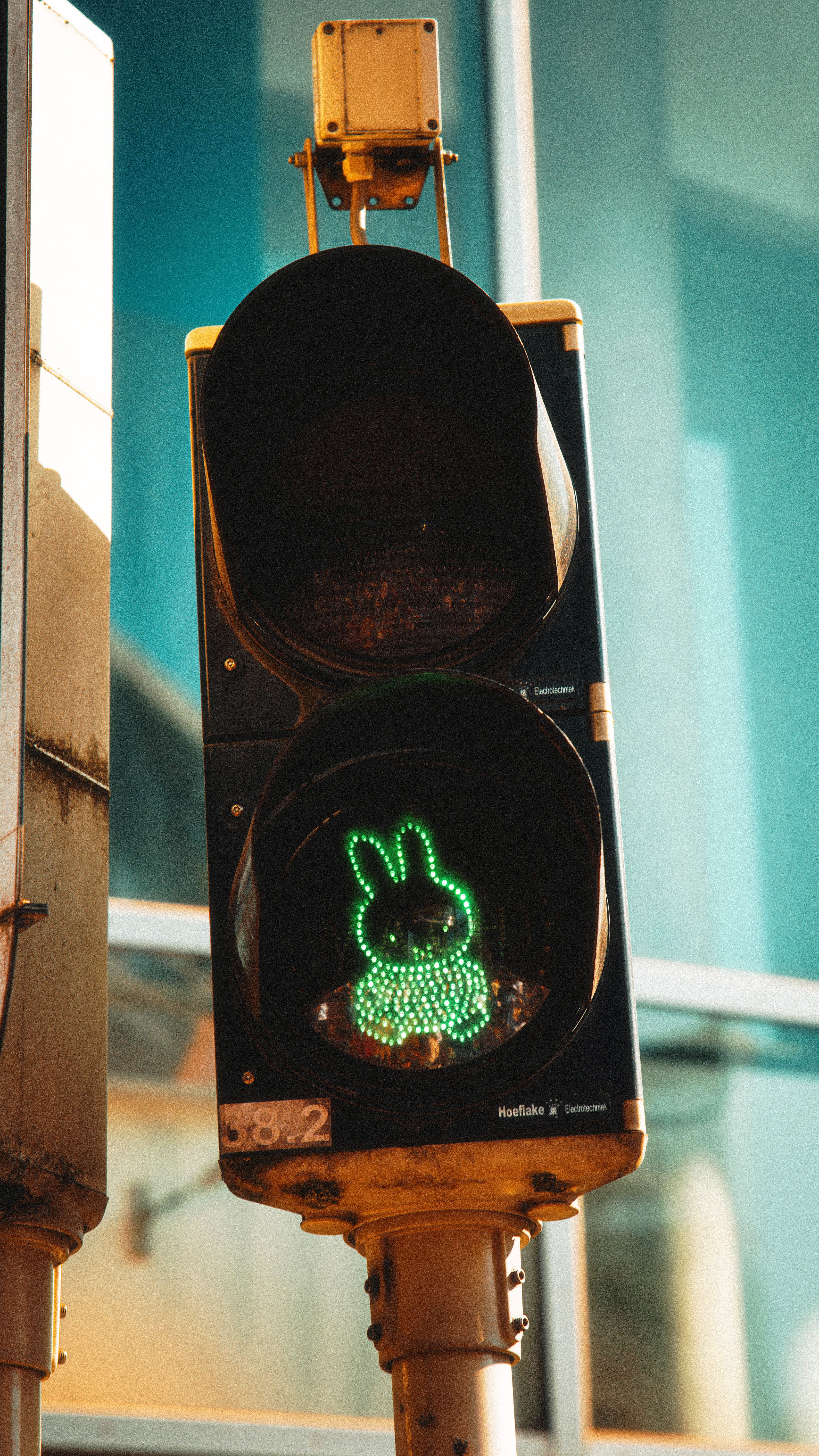Unique Traffic Light with Green Bunny Signal · Free Stock Photo