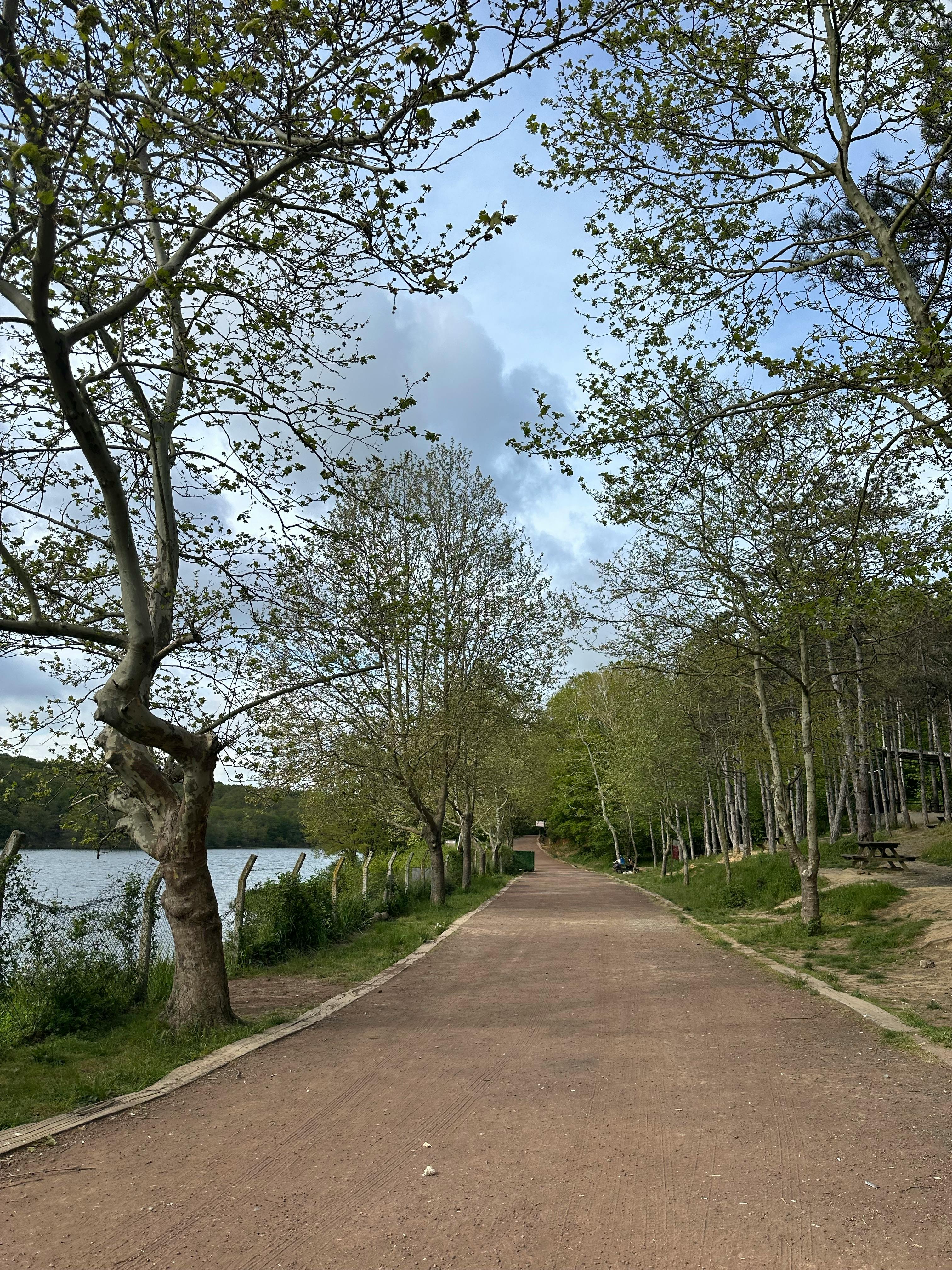 Scenic Spring Pathway by a Serene Lake · Free Stock Photo