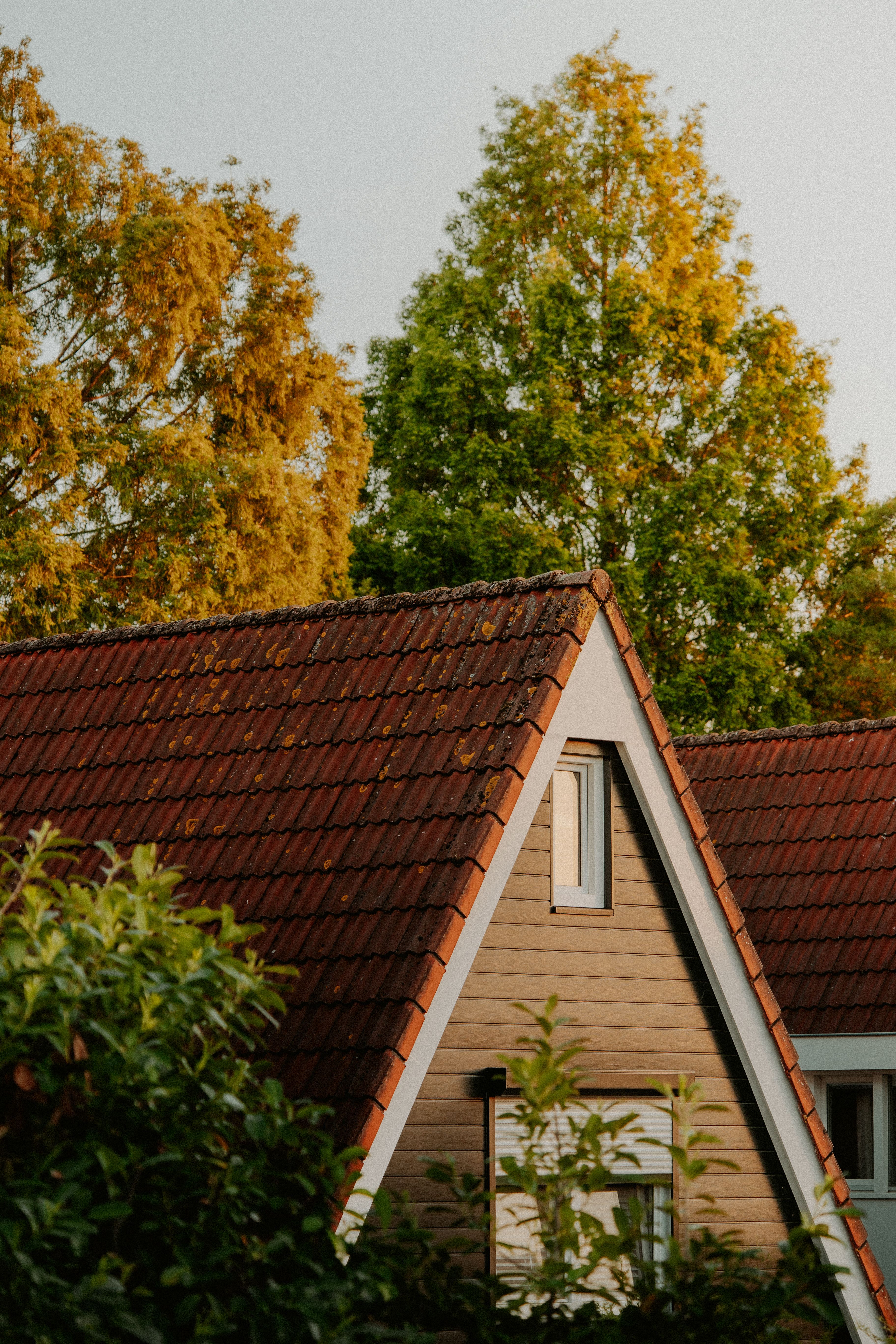 Background For House Photos, Download The BEST Free Background For ...