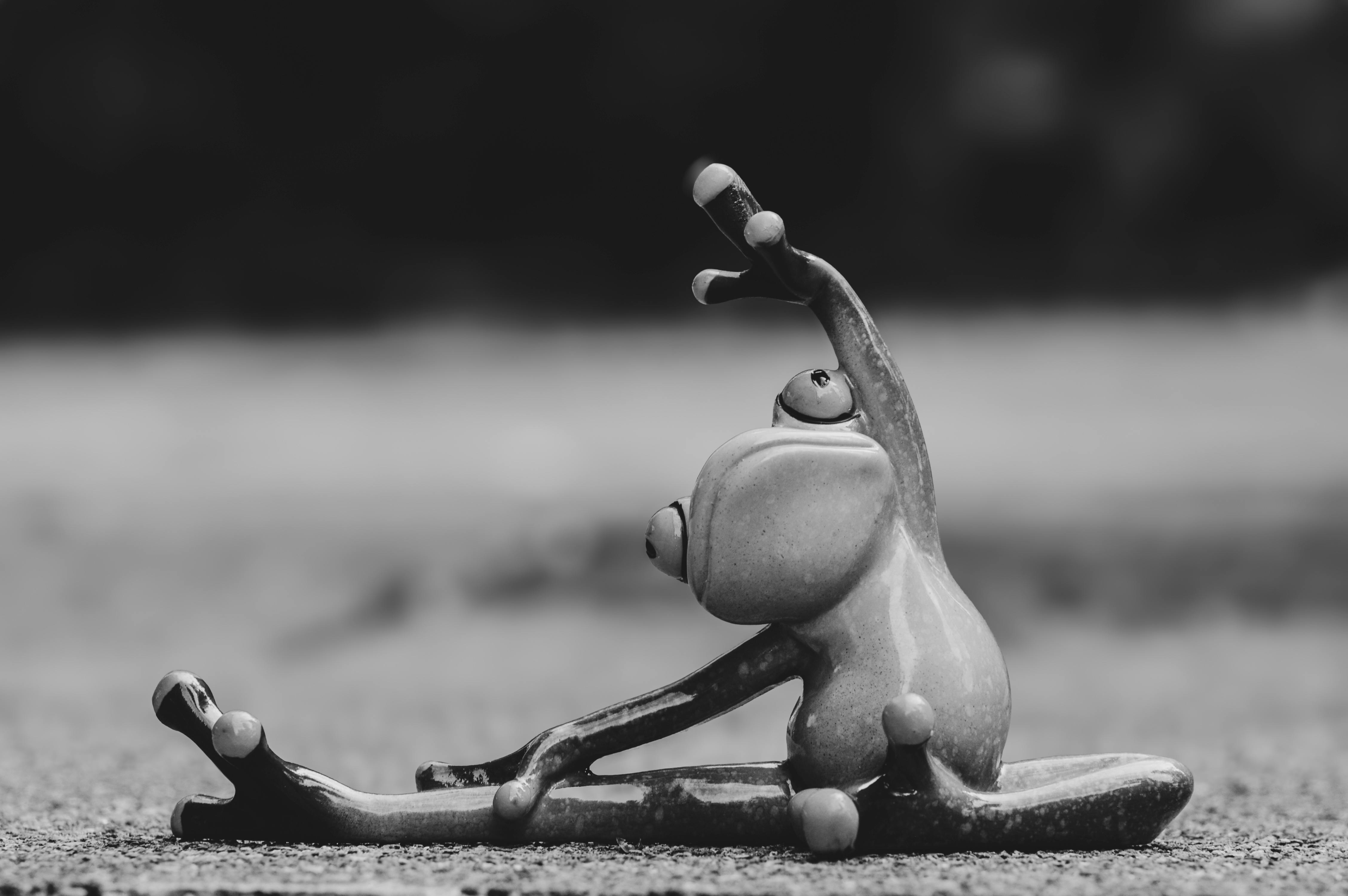 Funny Frog Photos, Download The BEST Free Funny Frog Stock Photos & HD ...