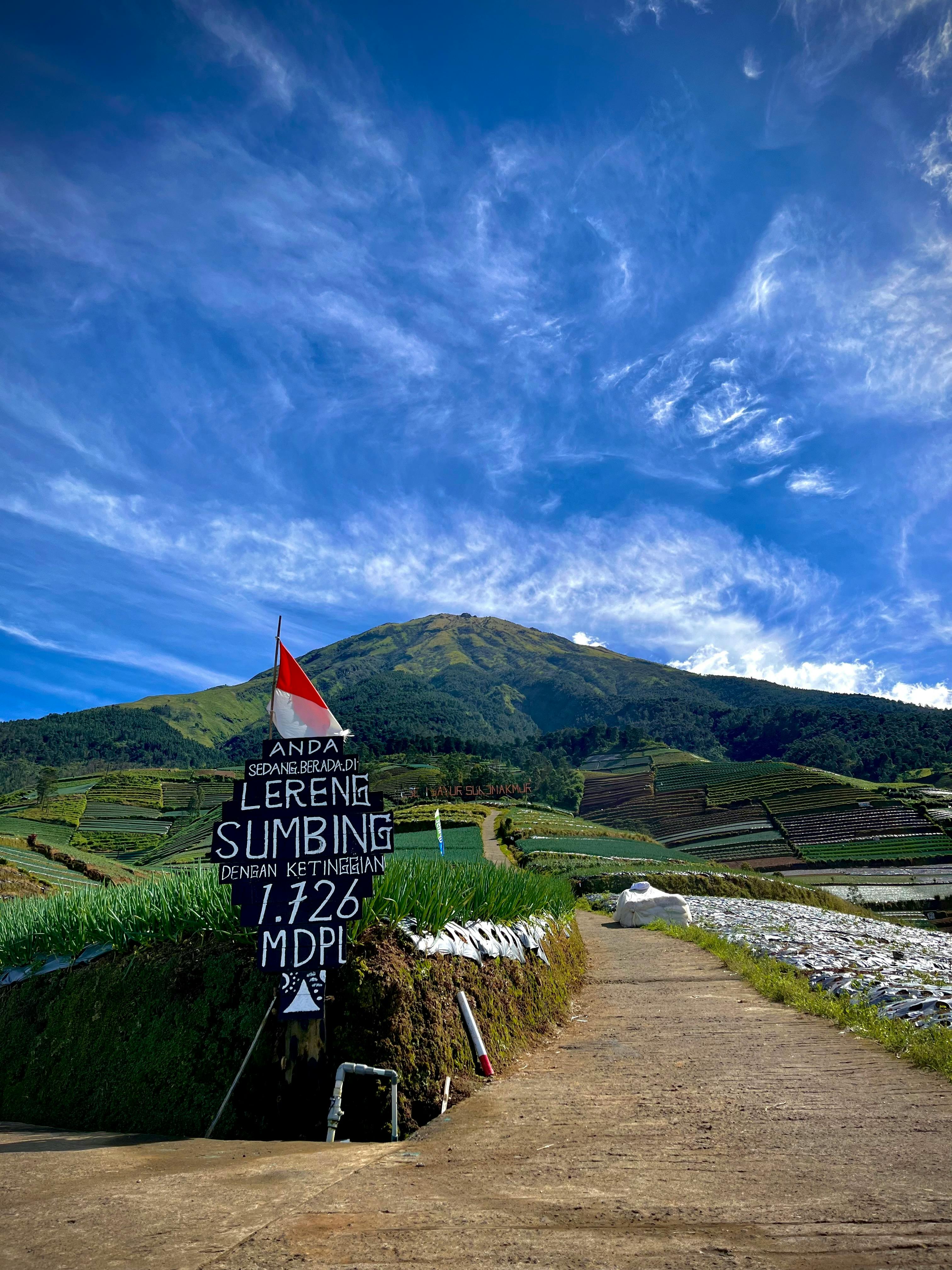 Morning View In Village Photos, Download The BEST Free Morning View In ...