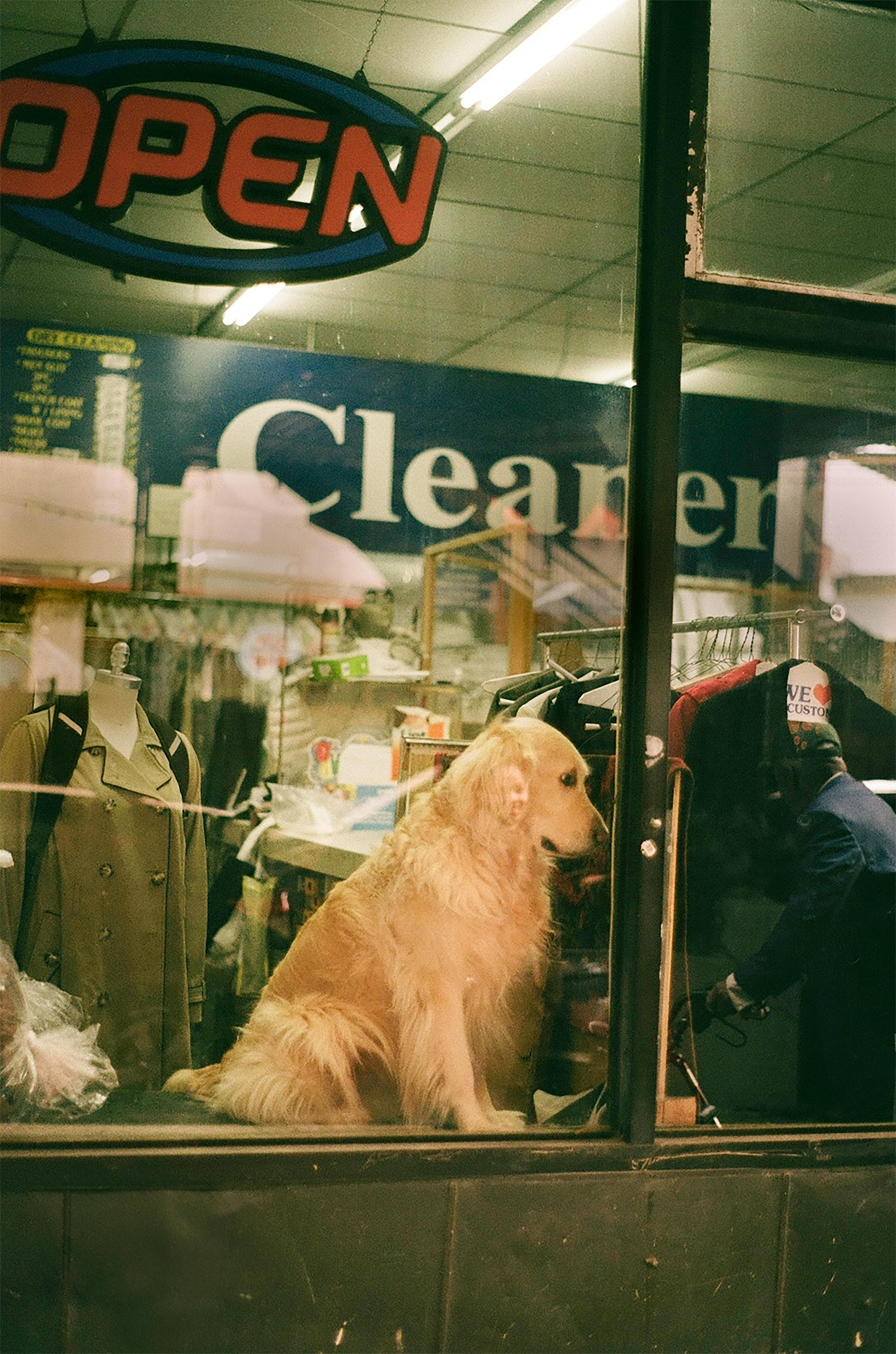 Pet Shop Photos, Download The BEST Free Pet Shop Stock Photos & HD Images