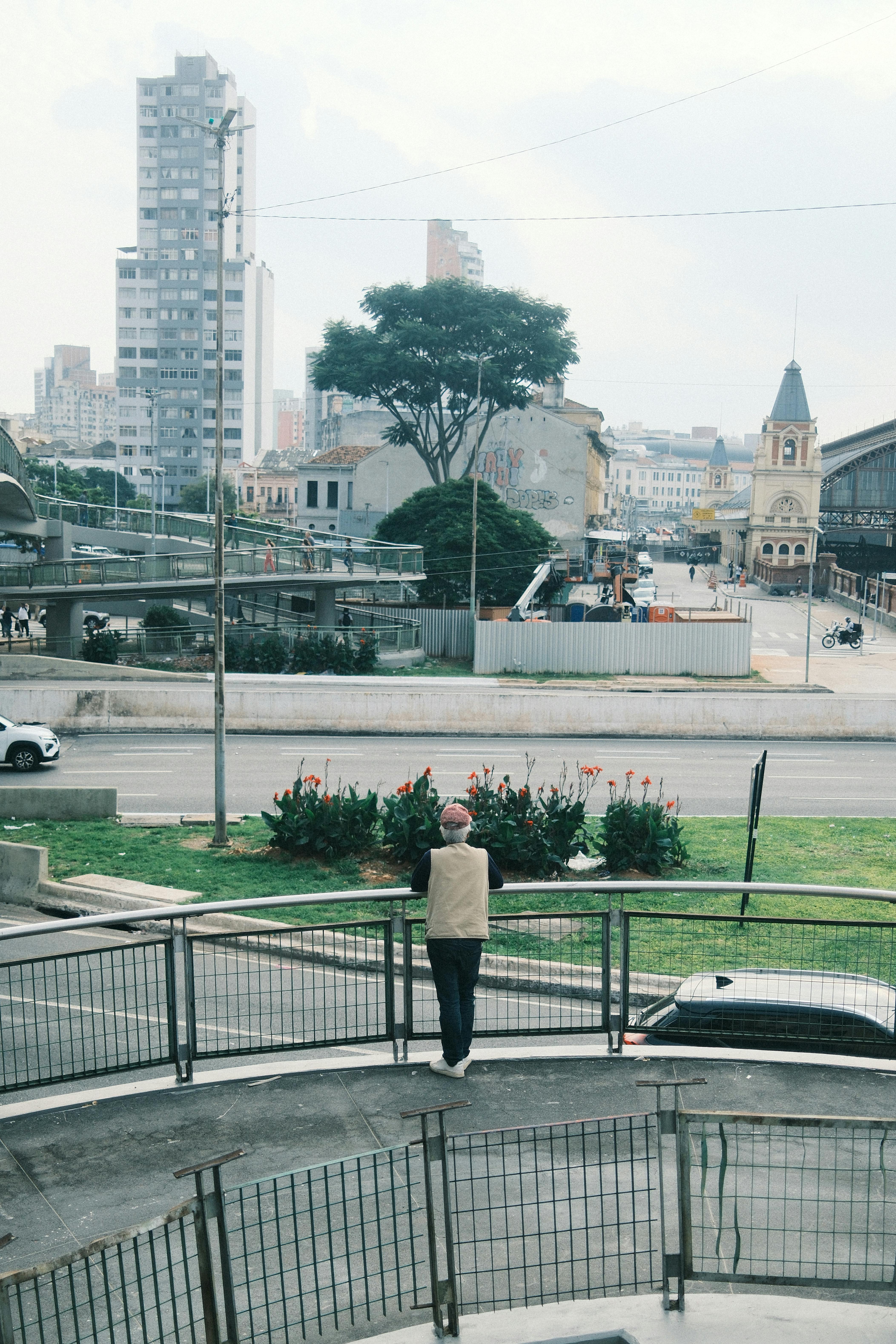 People+Peeing+In+The+Toilet Photos, Download The BEST Free People ...