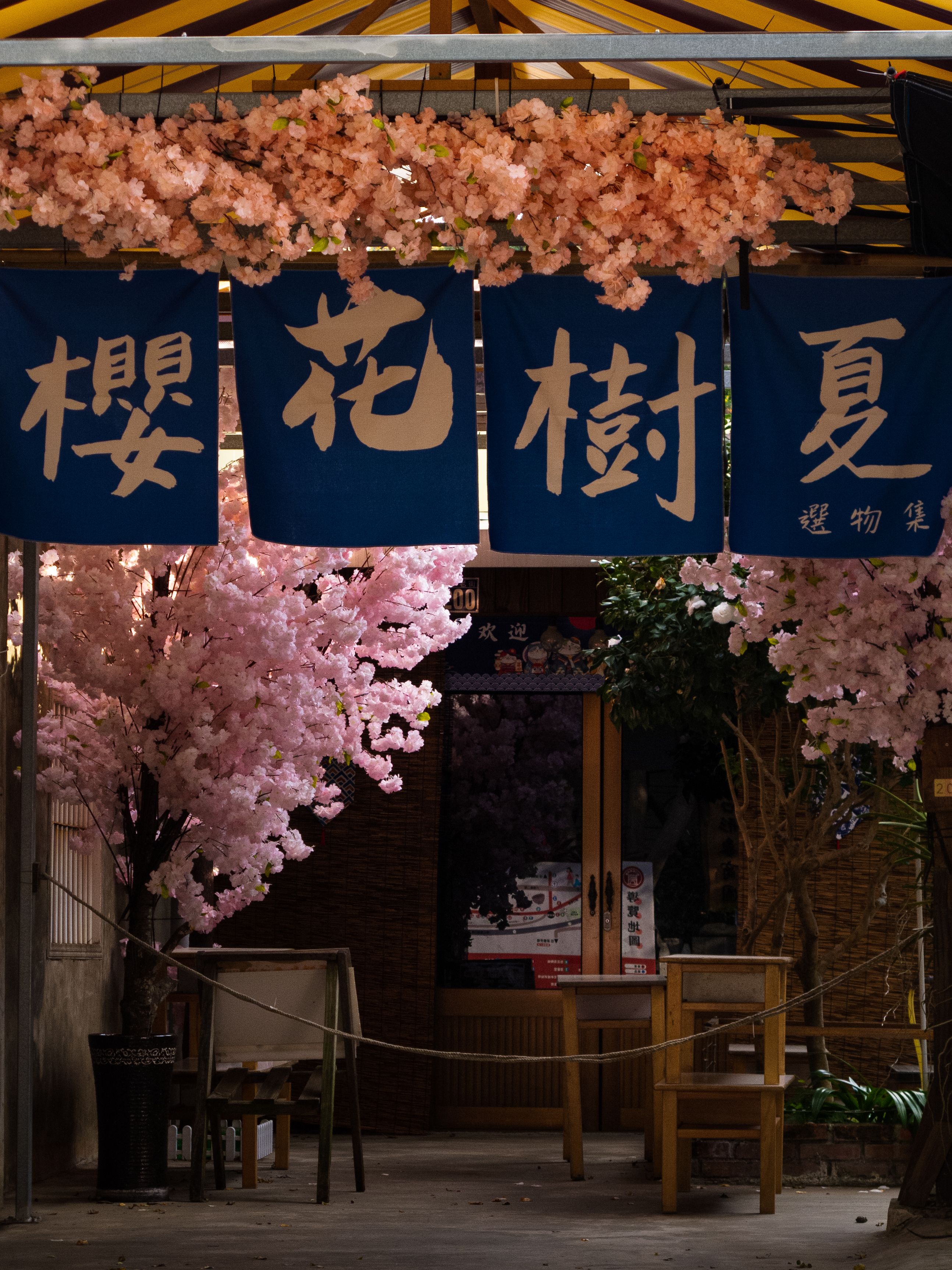 Japanese Pink Blo SSO M Trees Photos, Download The BEST Free Japanese ...