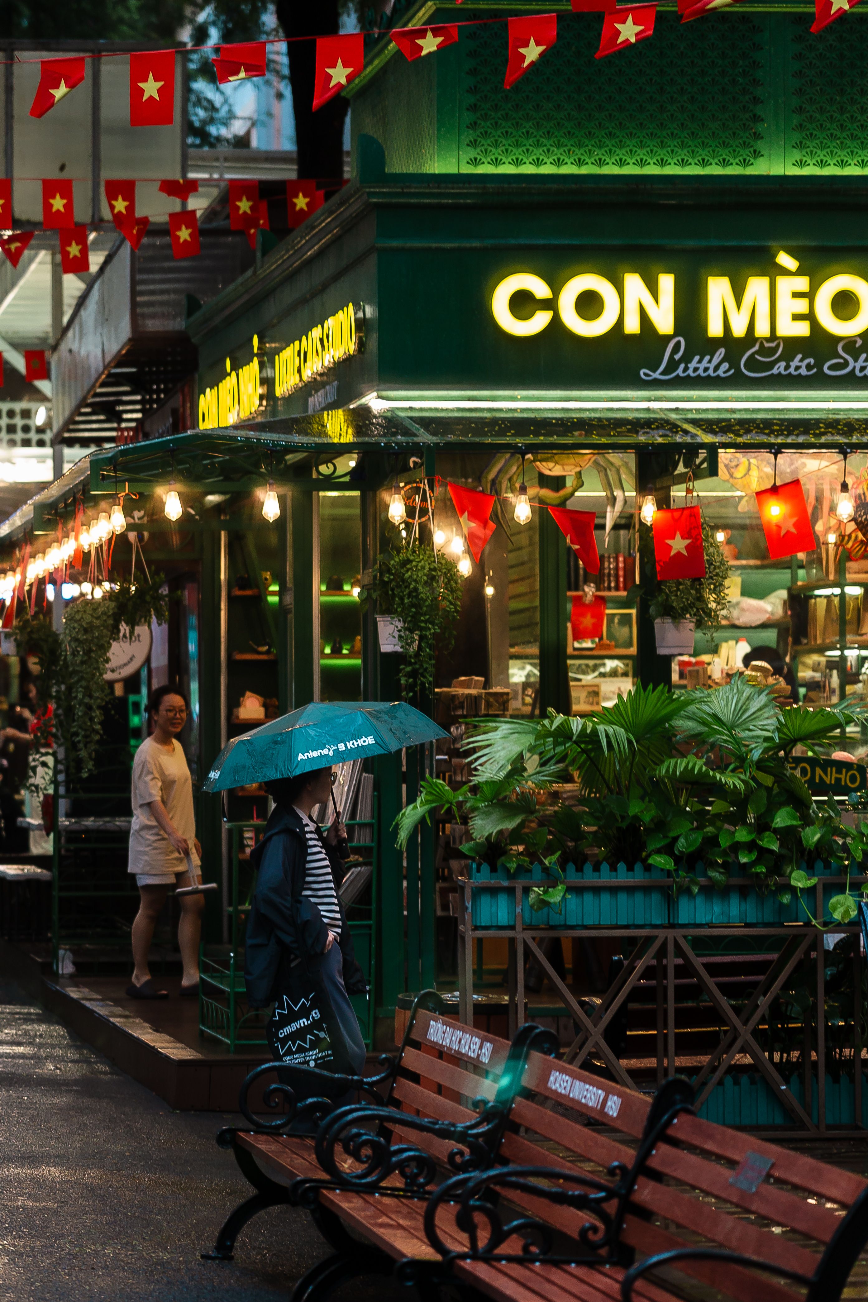 Mèo 4k Photos, Download The BEST Free Mèo 4k Stock Photos & HD Images