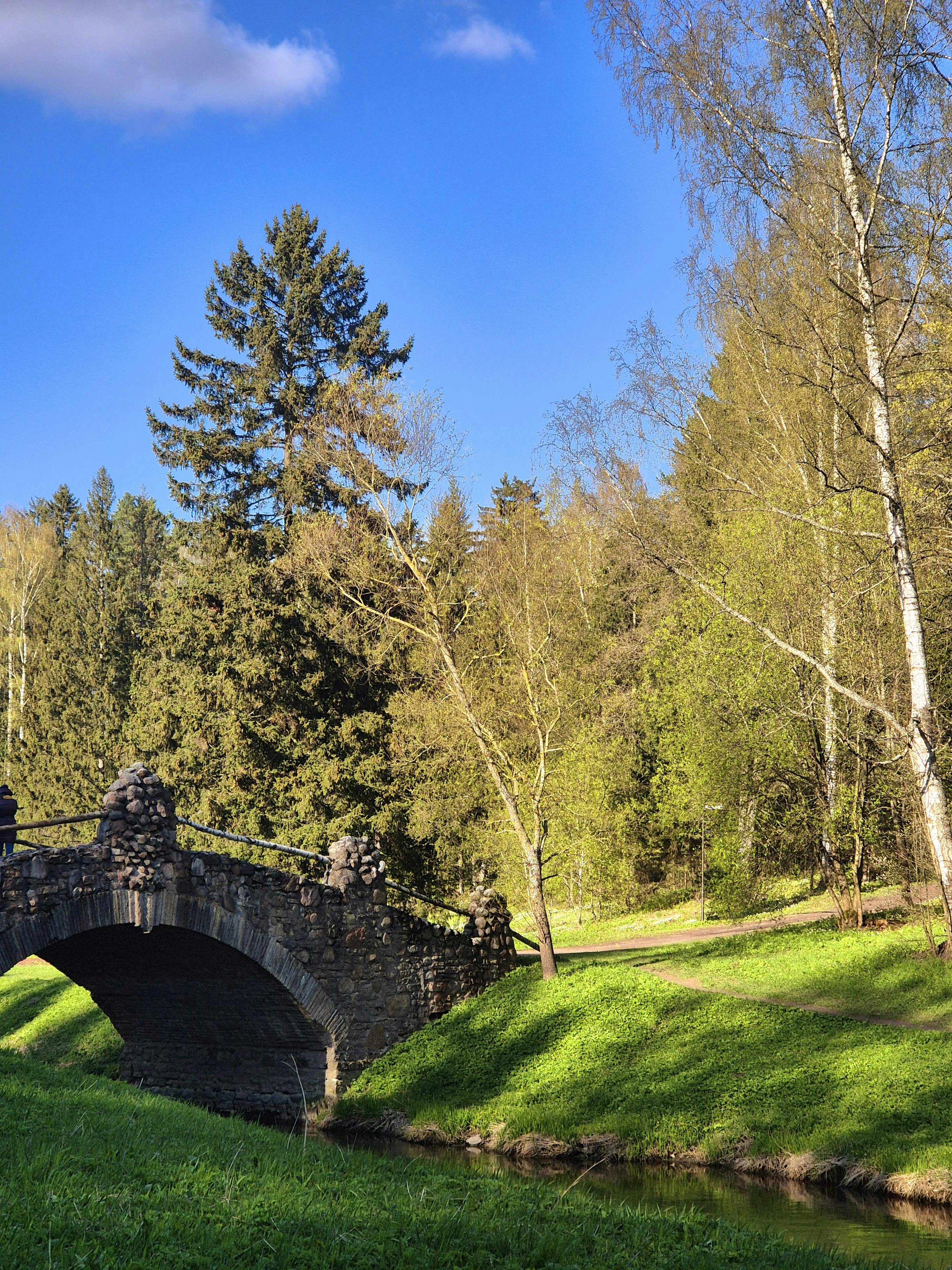 Stone Bridge Over Forest Stream in Spring · Free Stock Photo