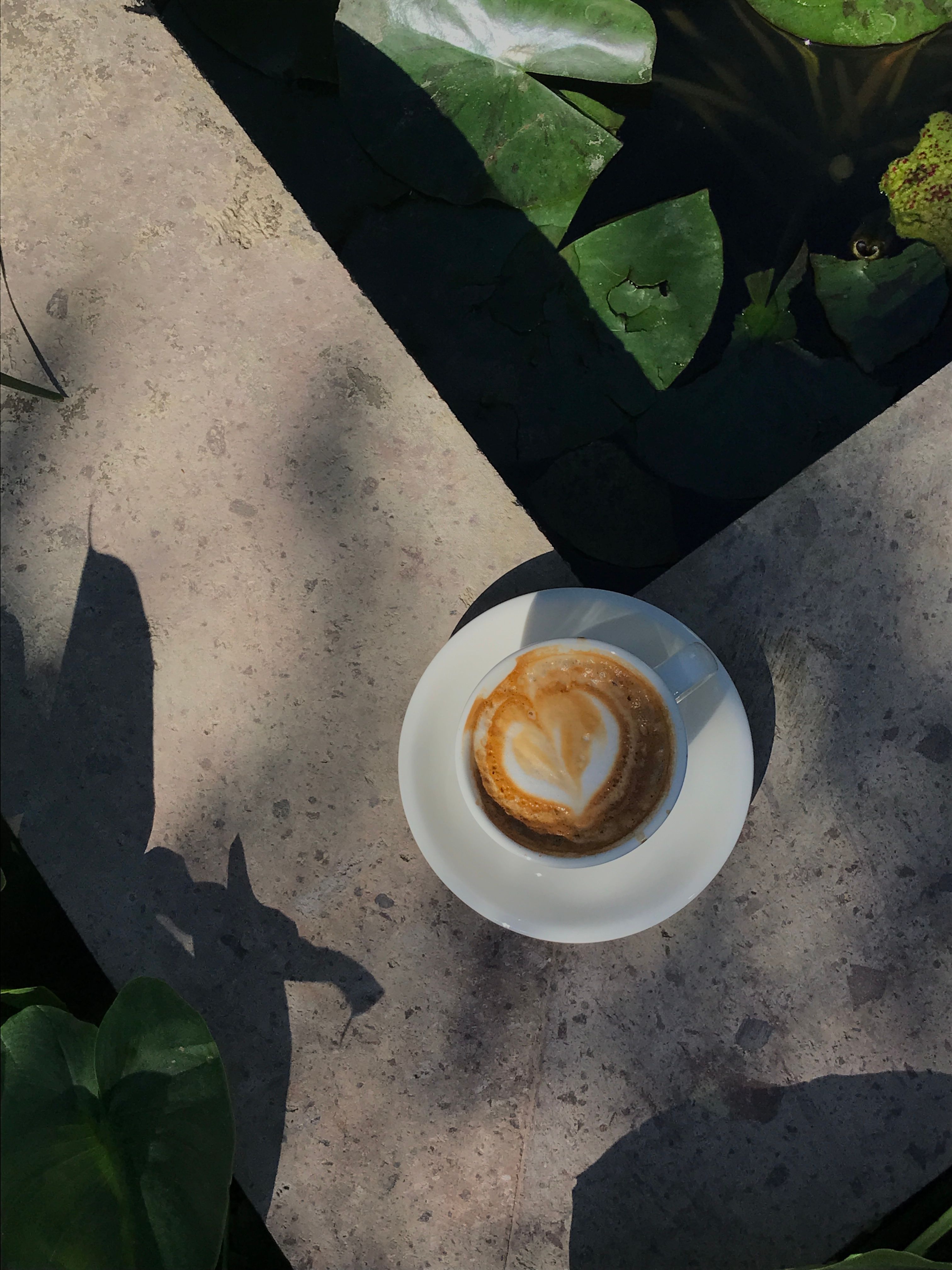 Serene Coffee Photos, Download The BEST Free Serene Coffee Stock Photos ...