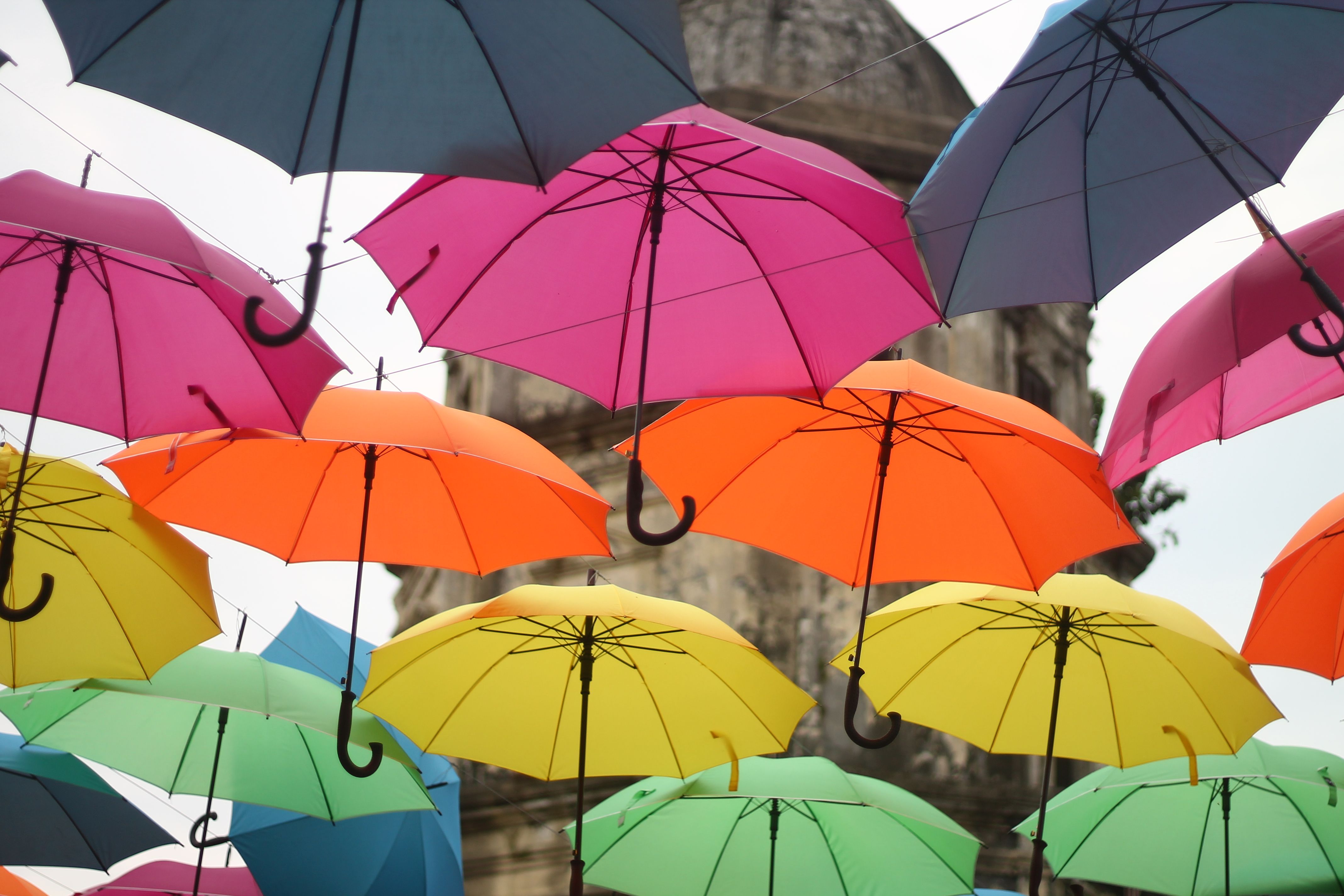 Assorted-colors Umbrella · Free Stock Photo