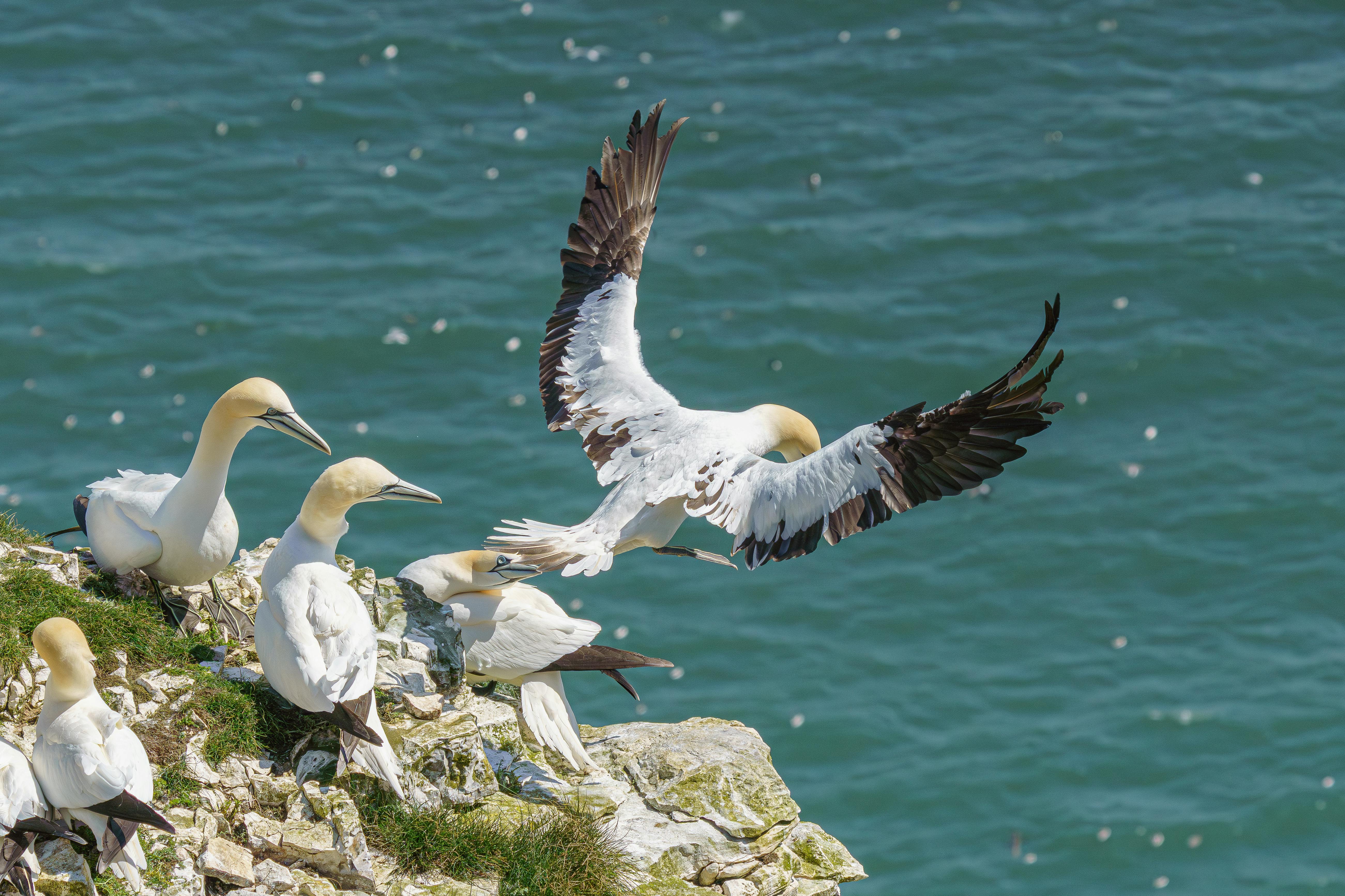 Biological Scient Photos, Download The BEST Free Biological Scient ...