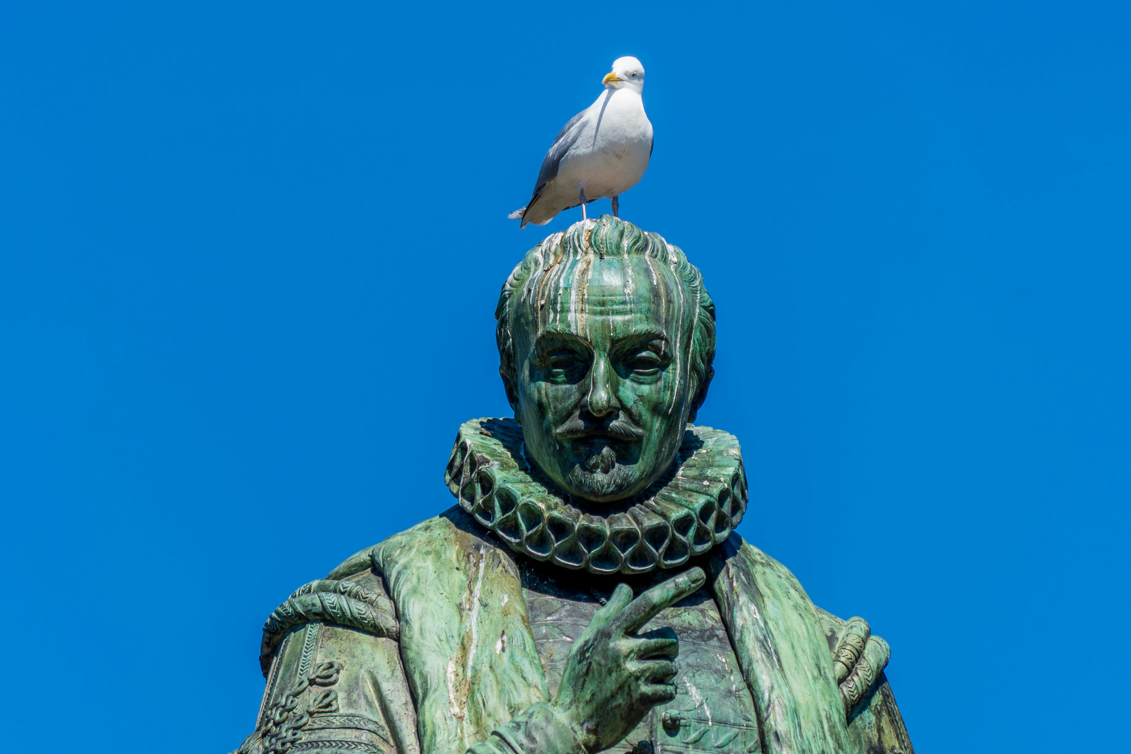Seagull Perched on Historical Bronze Statue Against Blue Sky · Free ...