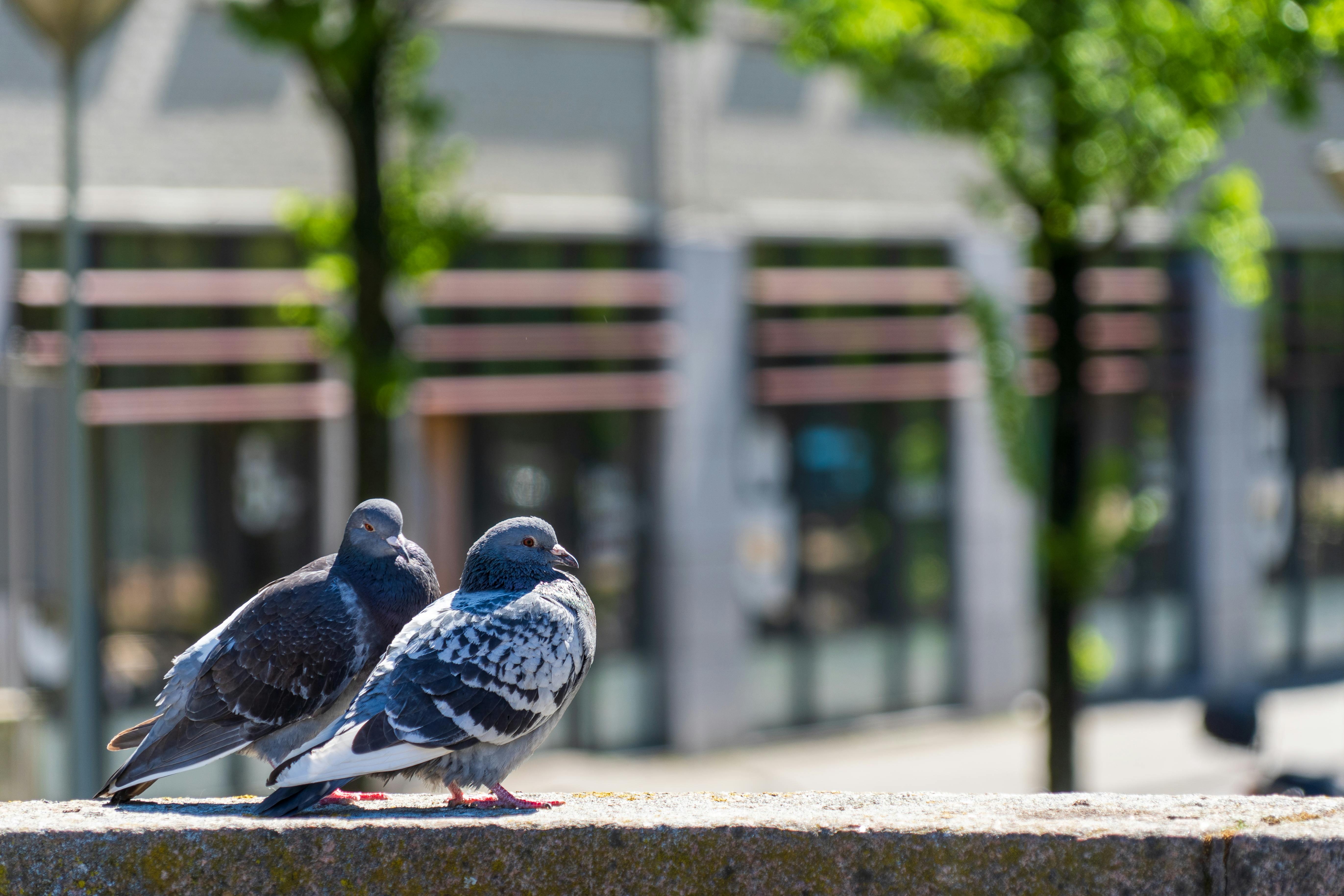 Nudza Sympa Double Photos, Download The BEST Free Nudza Sympa Double ...