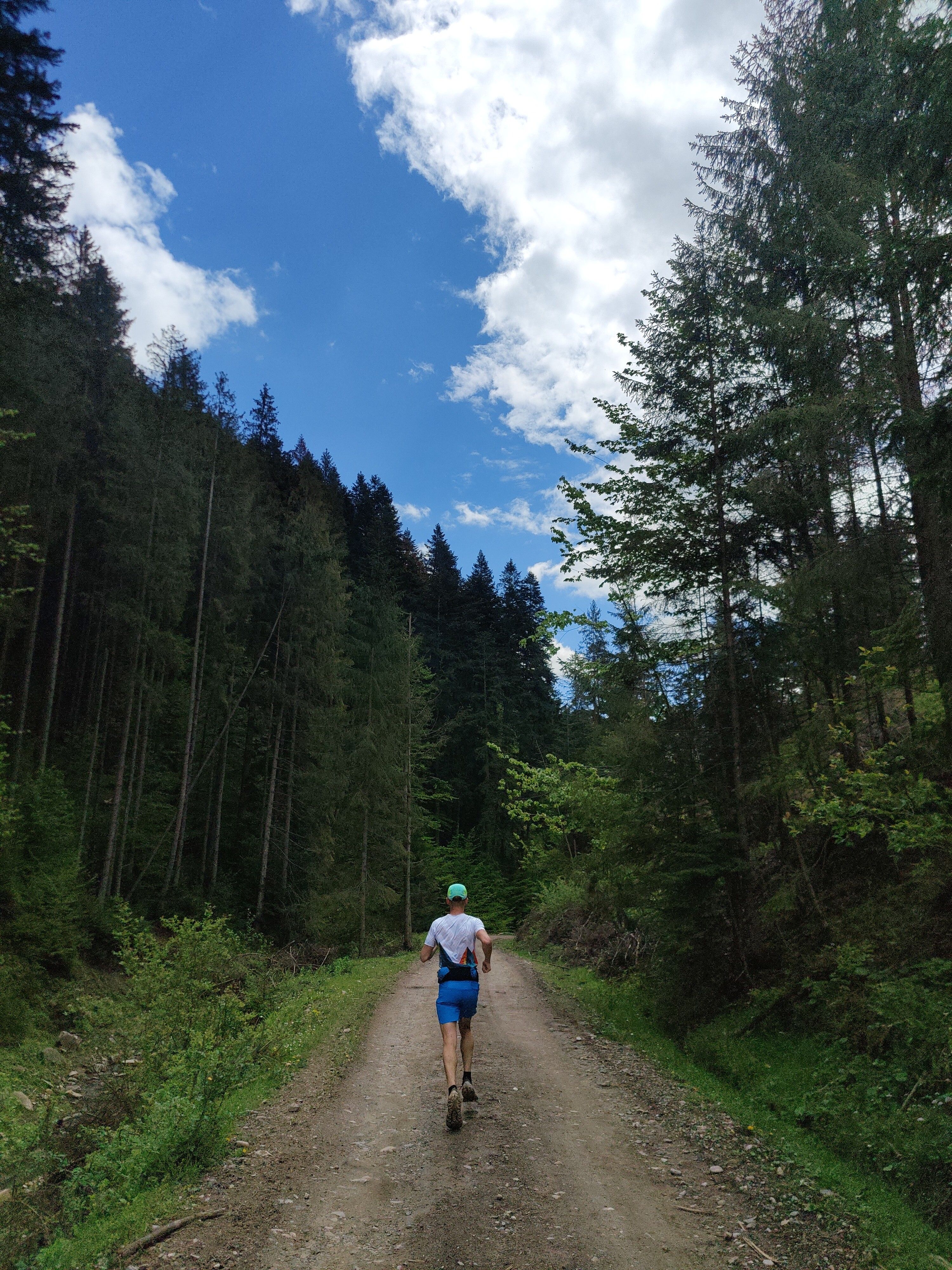 Runner Enjoying a Scenic Forest Trail Run · Free Stock Photo